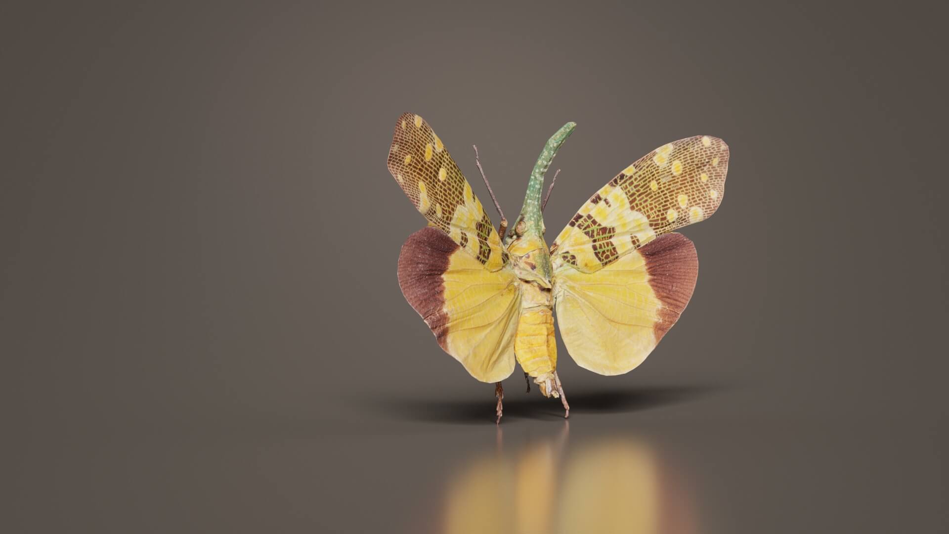 Pyrops Spinolae Cambodia - 3D Model by Polygonal Miniatures