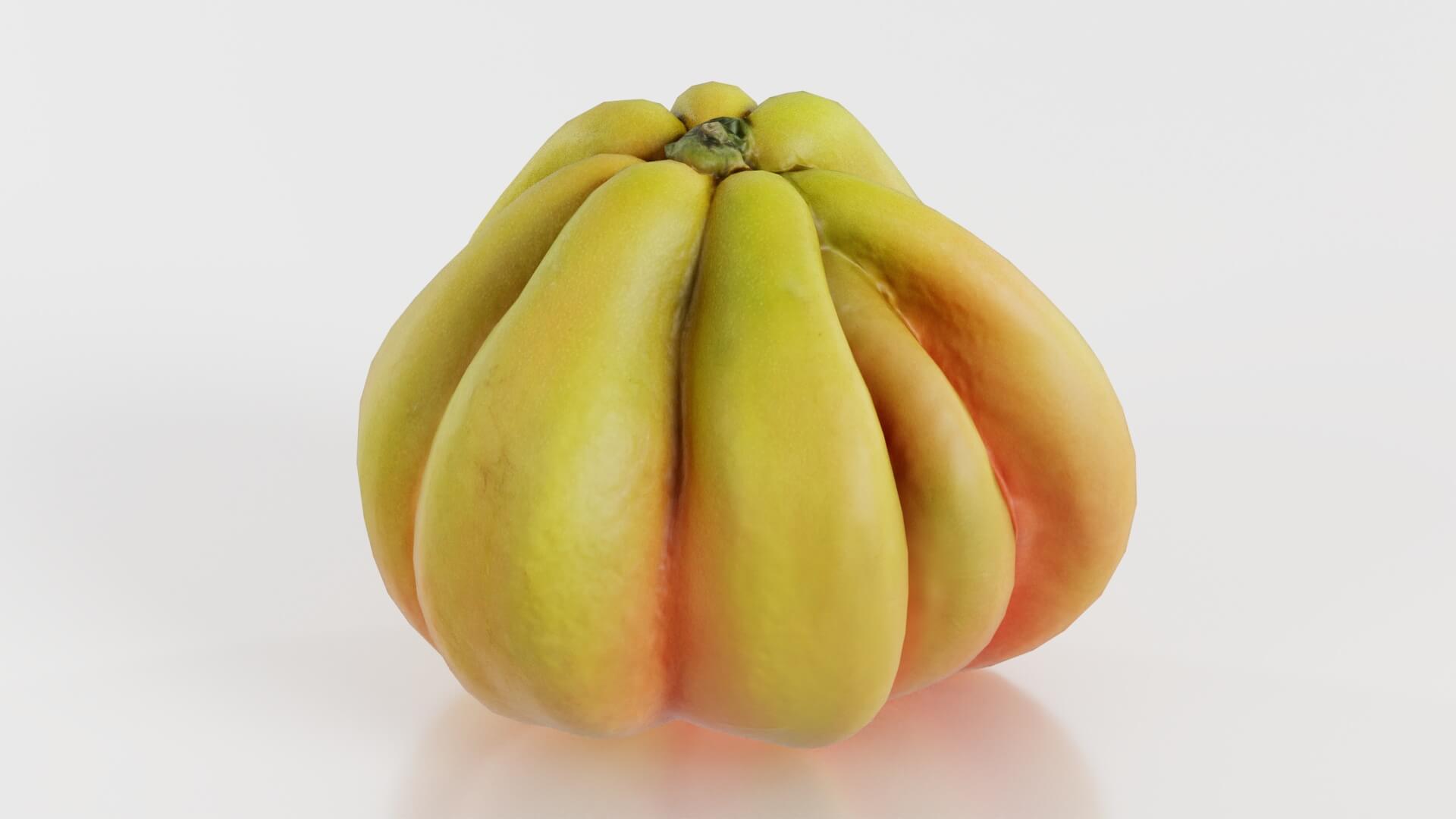 Quince - 3D Model by Polygonal Miniatures