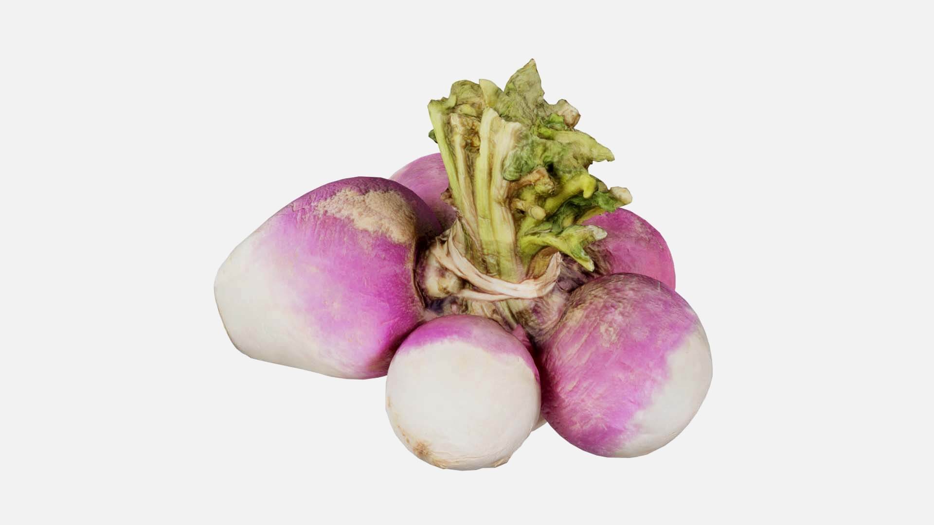 Rapen - 3D Model by Polygonal Miniatures