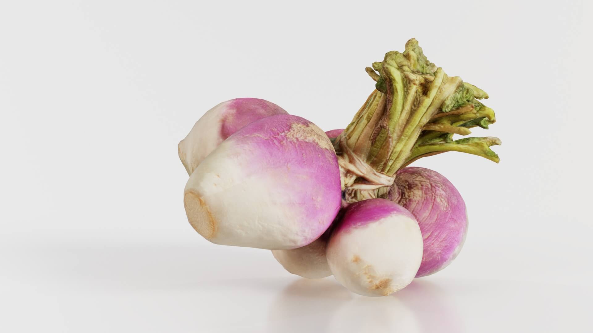 Rapen - 3D Model by Polygonal Miniatures