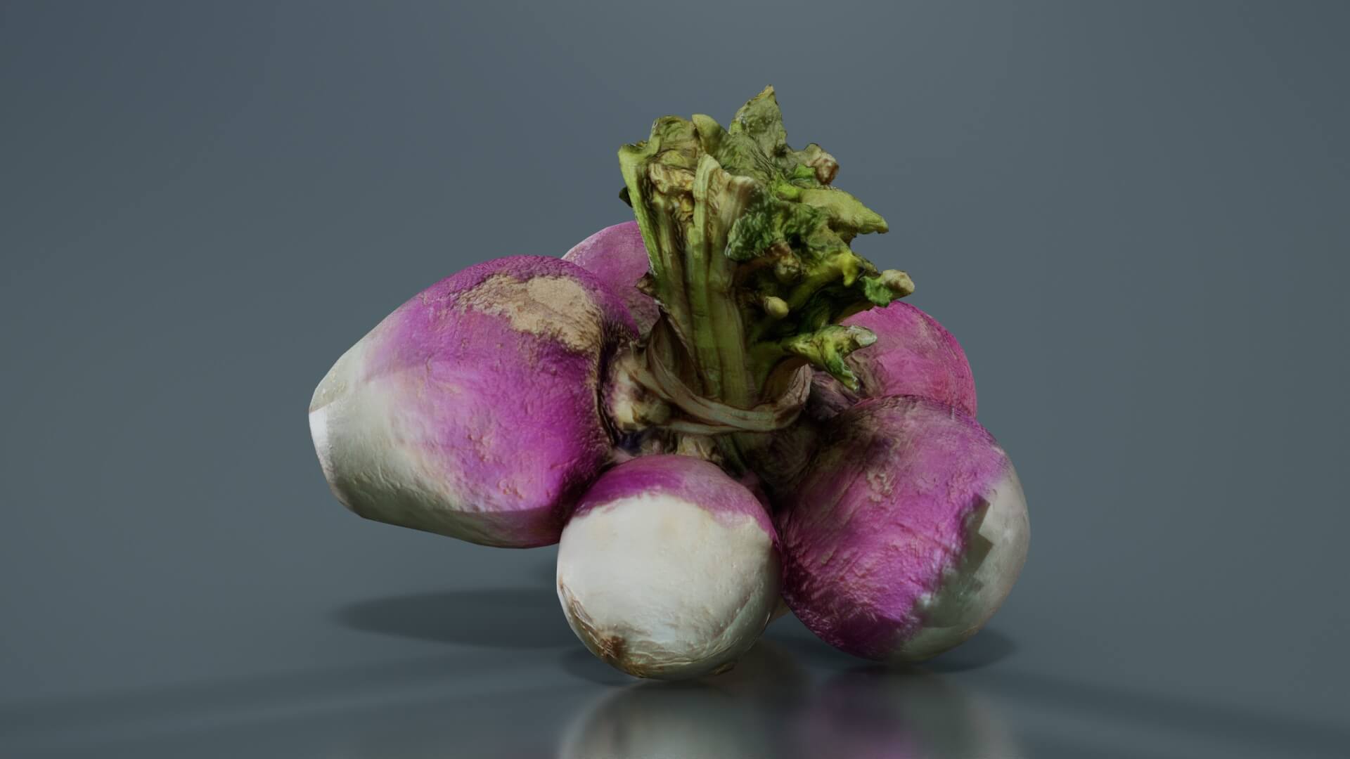 Rapen - 3D Model by Polygonal Miniatures