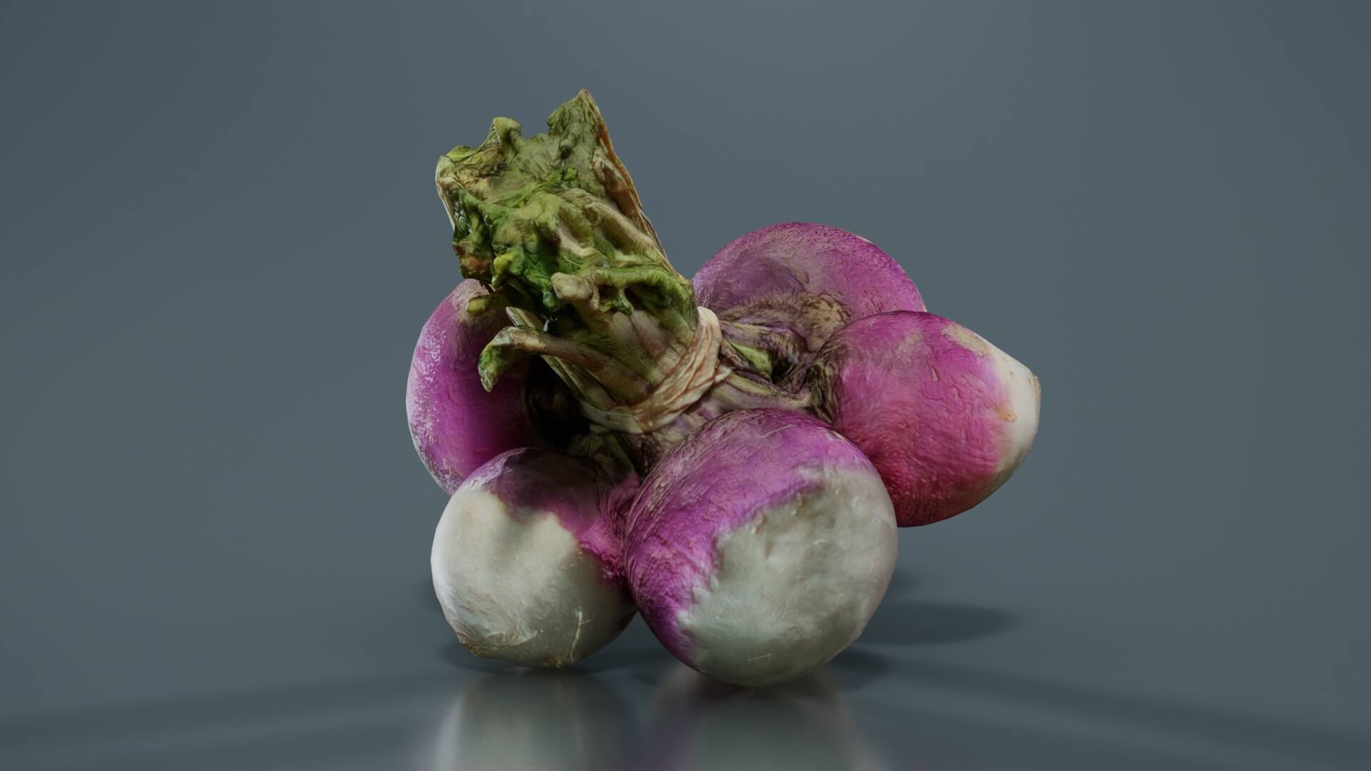 Rapen - 3D Model by Polygonal Miniatures