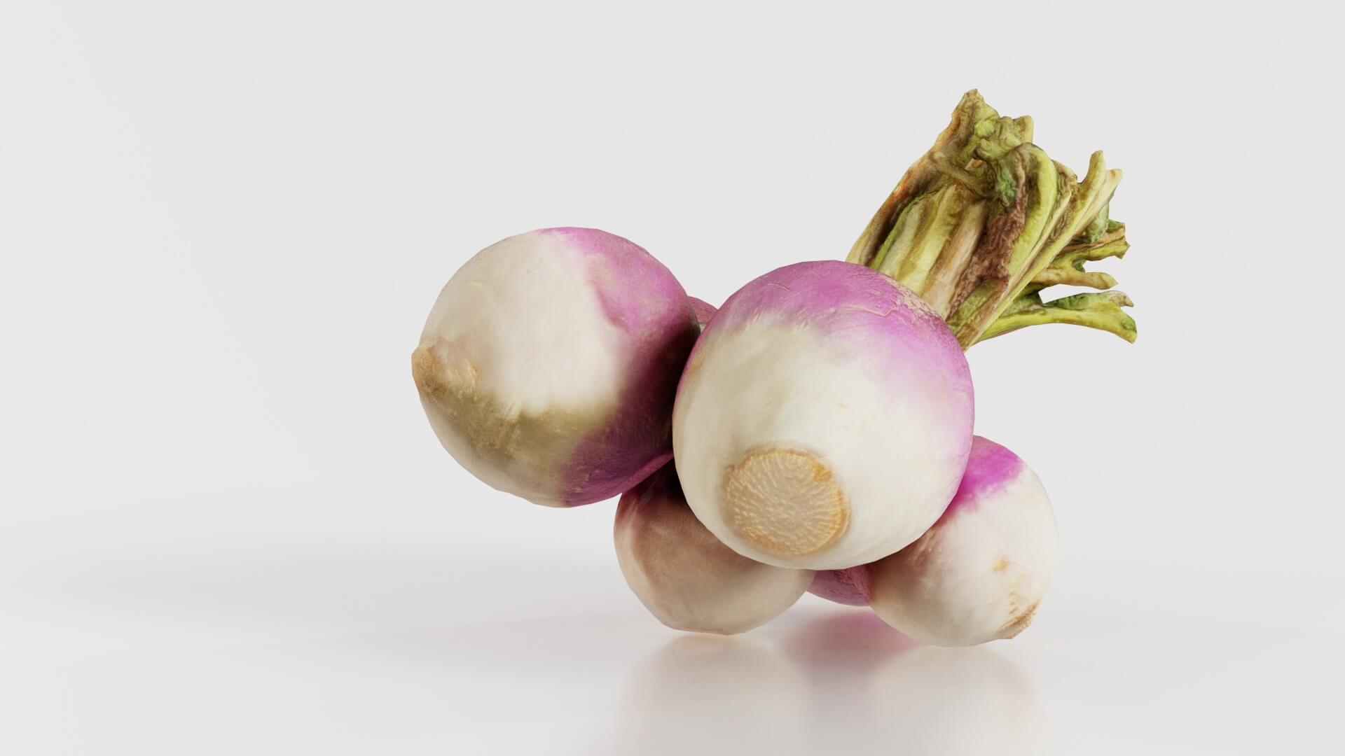 Rapen - 3D Model by Polygonal Miniatures