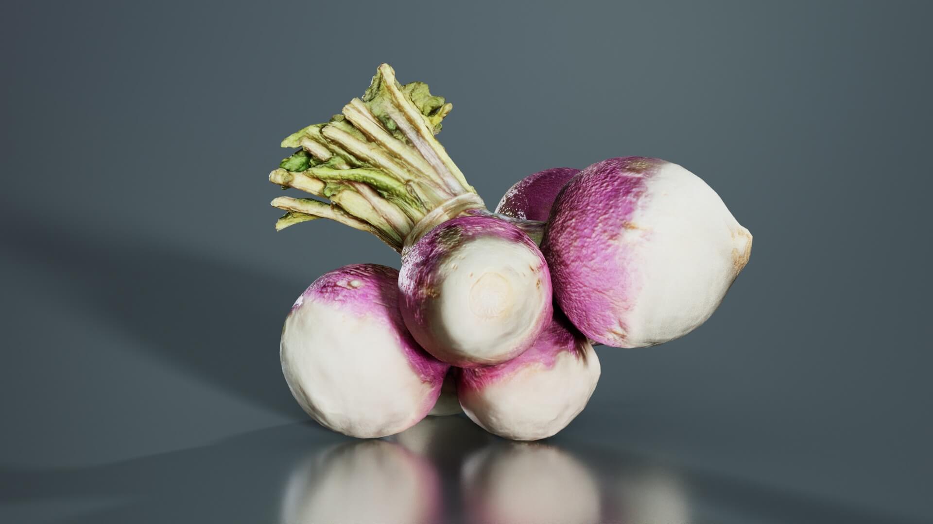 Rapen - 3D Model by Polygonal Miniatures