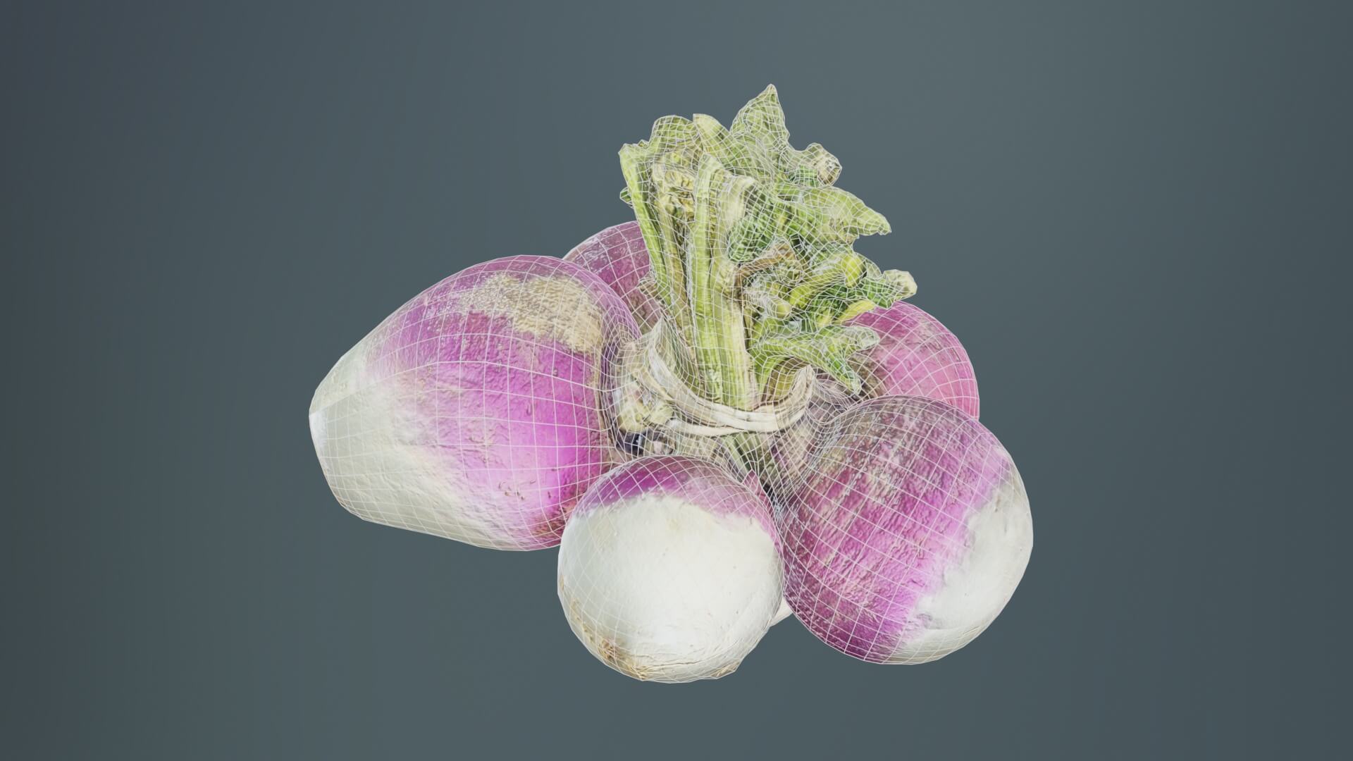 Rapen - 3D Model by Polygonal Miniatures