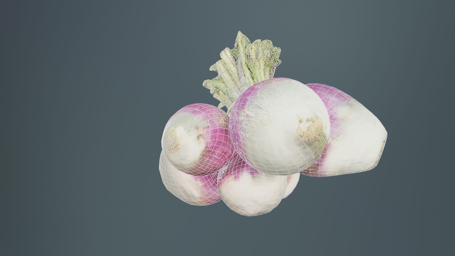 Rapen - 3D Model by Polygonal Miniatures