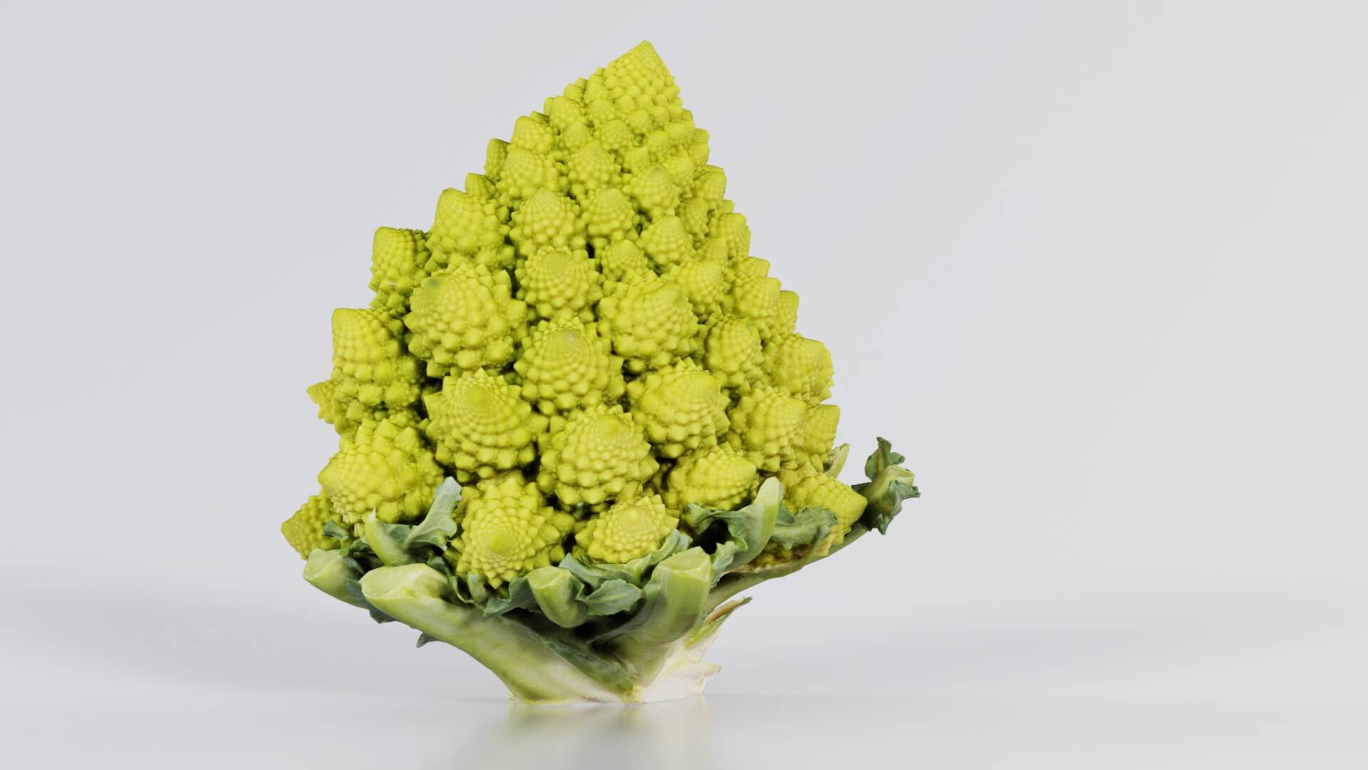 Romanesco Half 2 - 3D Model by Polygonal Miniatures