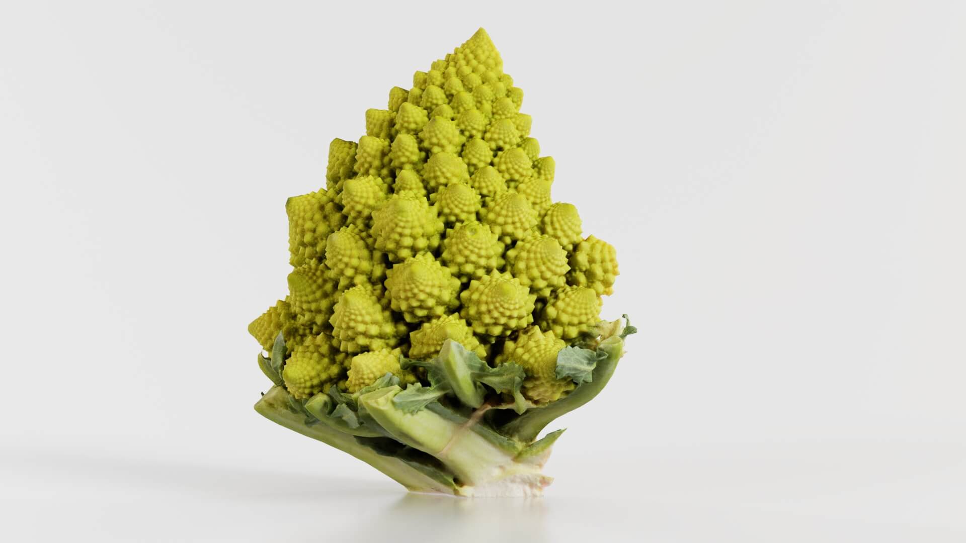 Romanesco Half 2 - 3D Model by Polygonal Miniatures