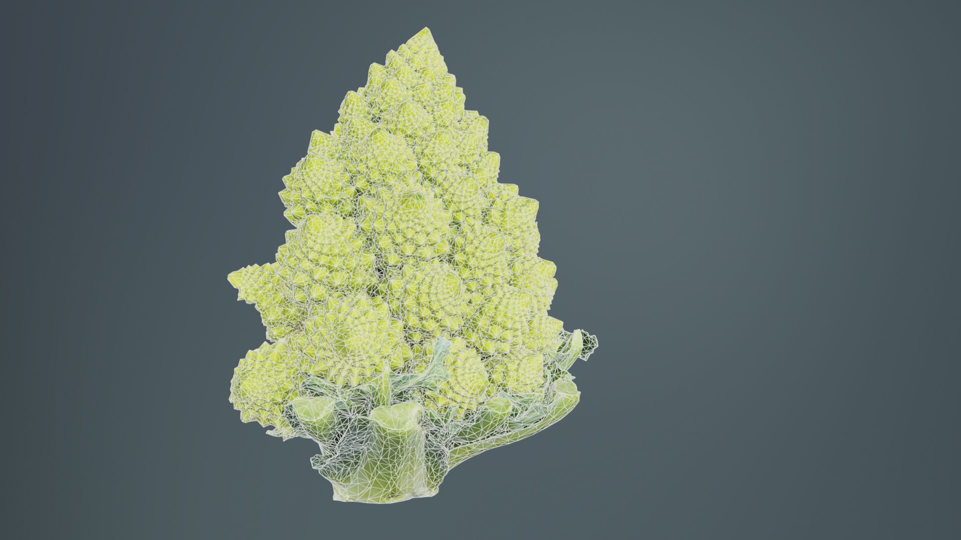 Romanesco Half 2 - 3D Model by Polygonal Miniatures