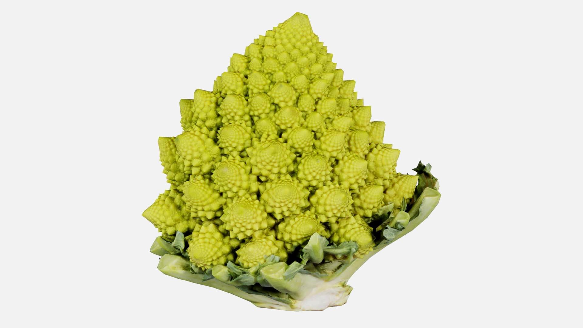 Romanesco - 3D Model by Polygonal Miniatures