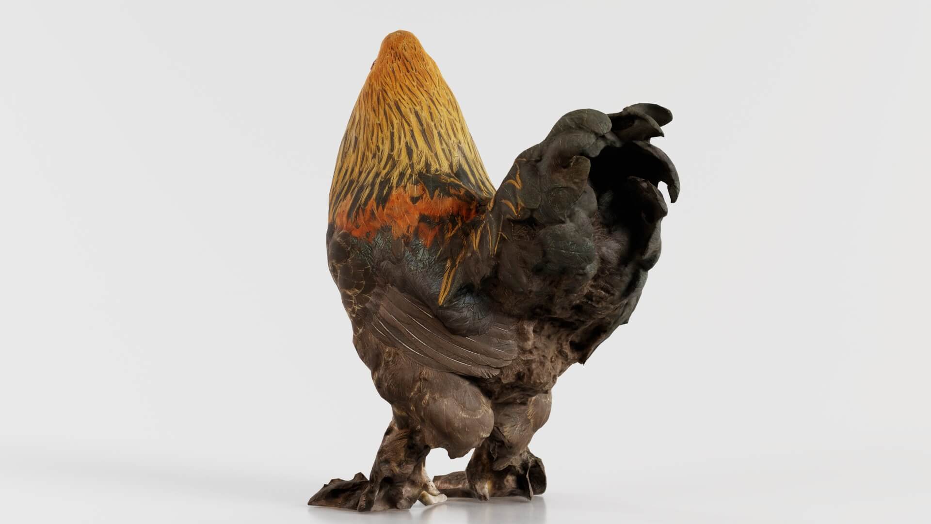 Rooster Gallus Domesticus - 3D Model by Polygonal Miniatures