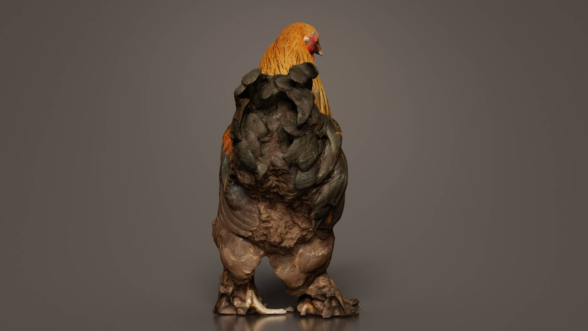 Rooster Gallus Domesticus - 3D Model by Polygonal Miniatures