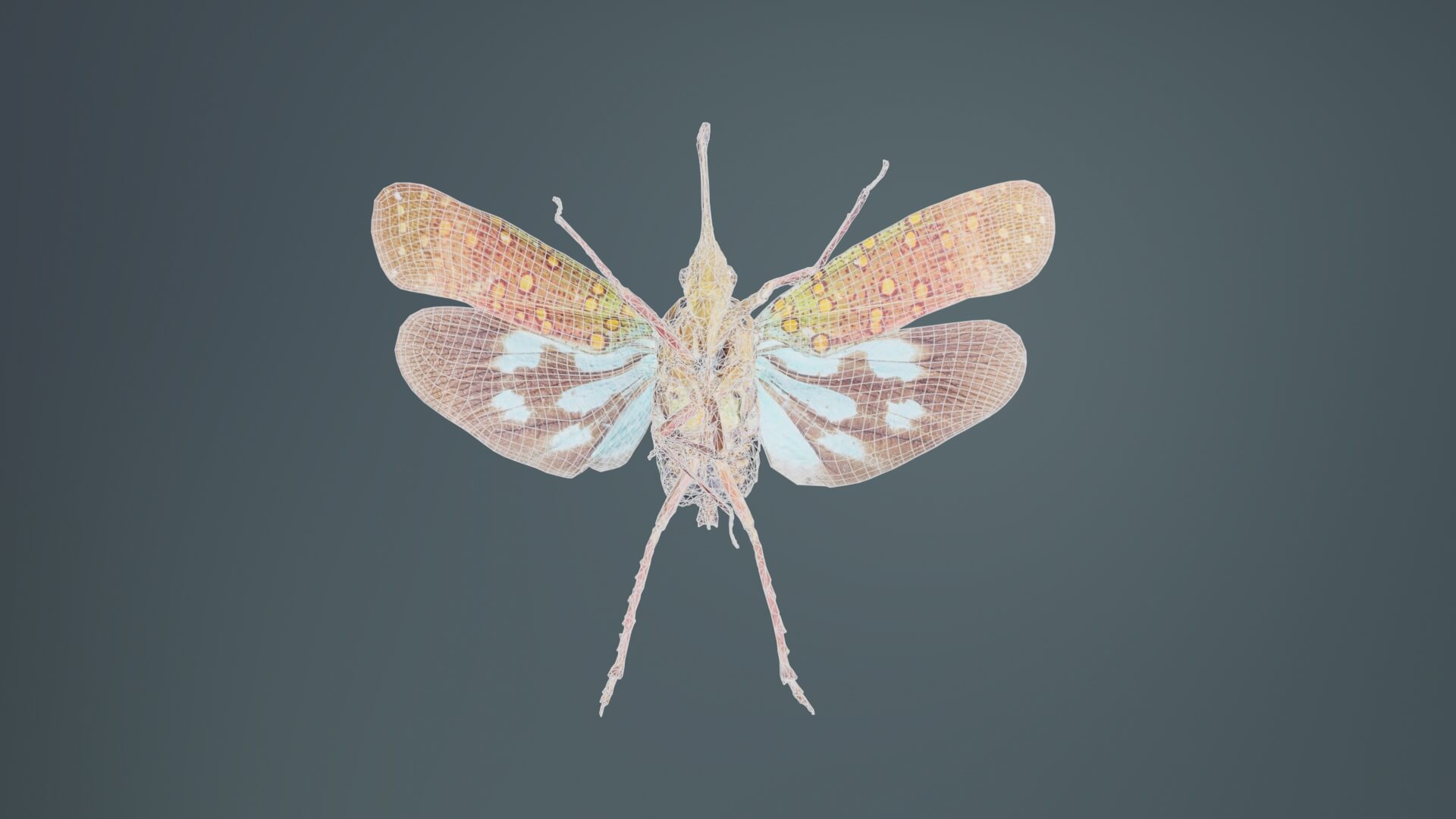 Saiva Gemmata Laos - 3D Model by Polygonal Miniatures