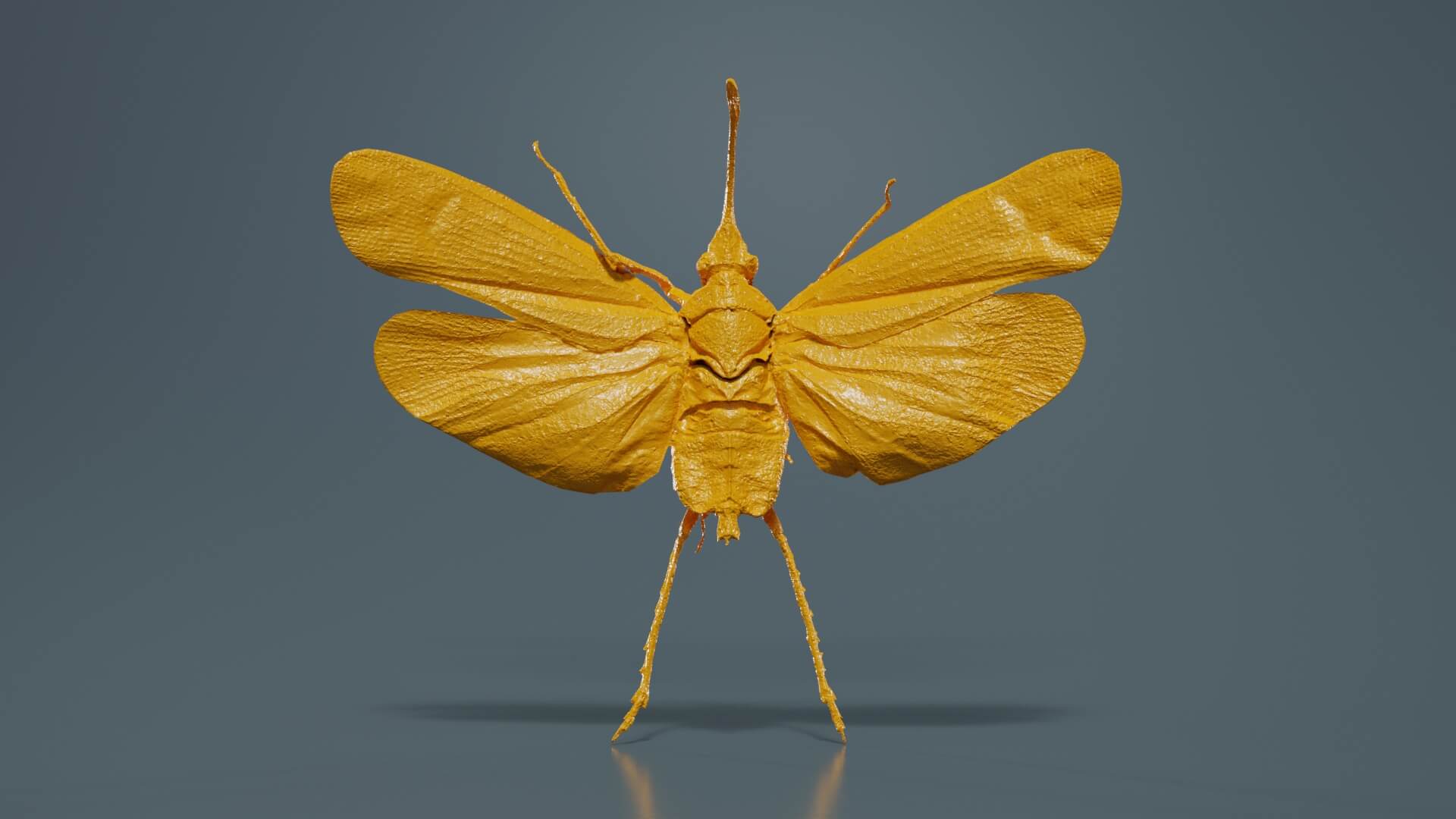 Saiva Gemmata Laos - 3D Model by Polygonal Miniatures