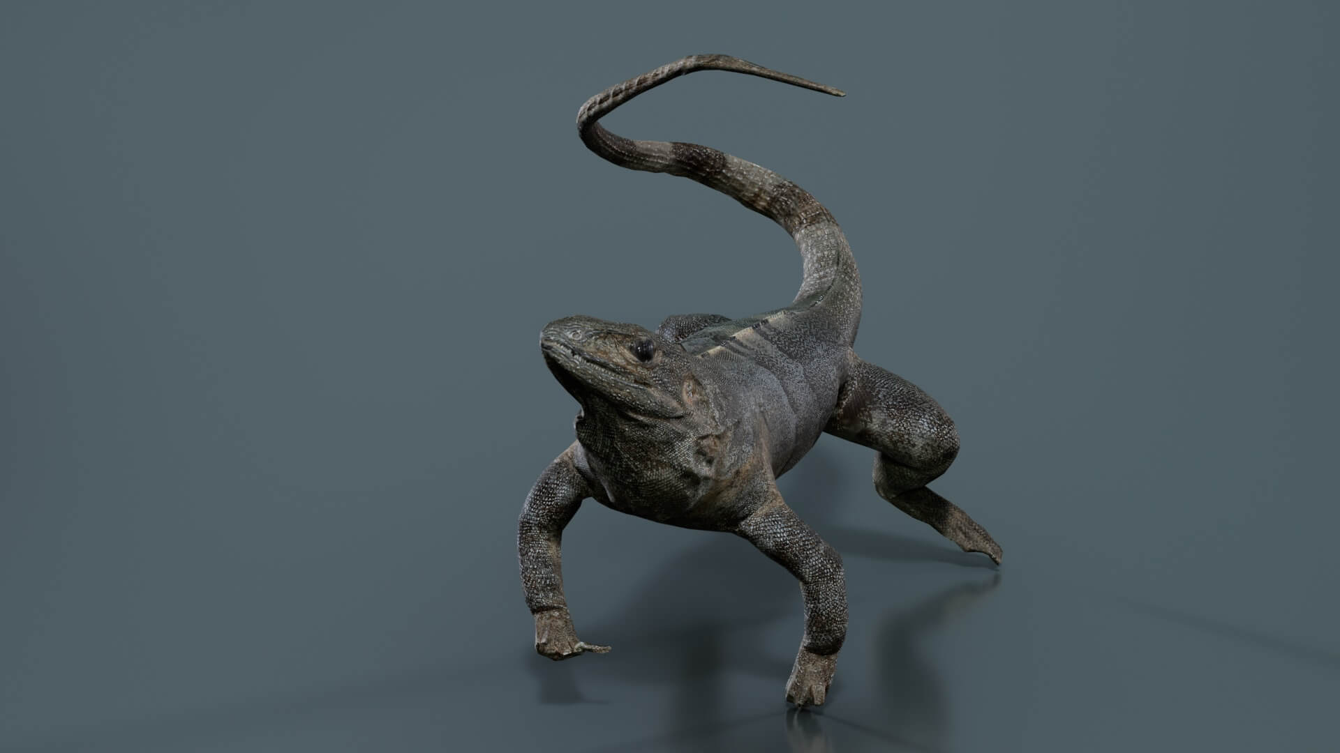 Large Salamander - 3D Model by Polygonal Miniatures