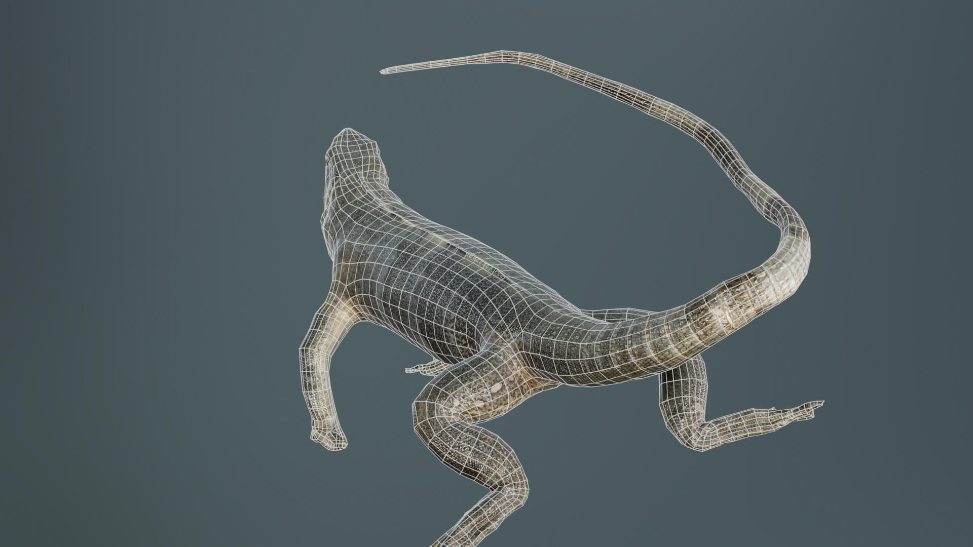 Large Salamander - 3D Model by Polygonal Miniatures