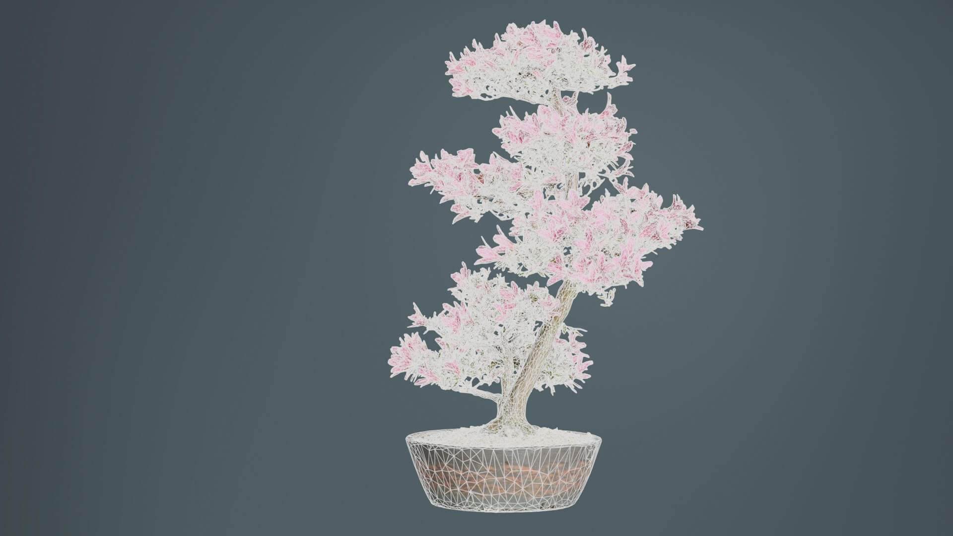 Satsuki Azalea Large Cluster Red Rhododendron Indicum Bonsai Tree - 3D ...