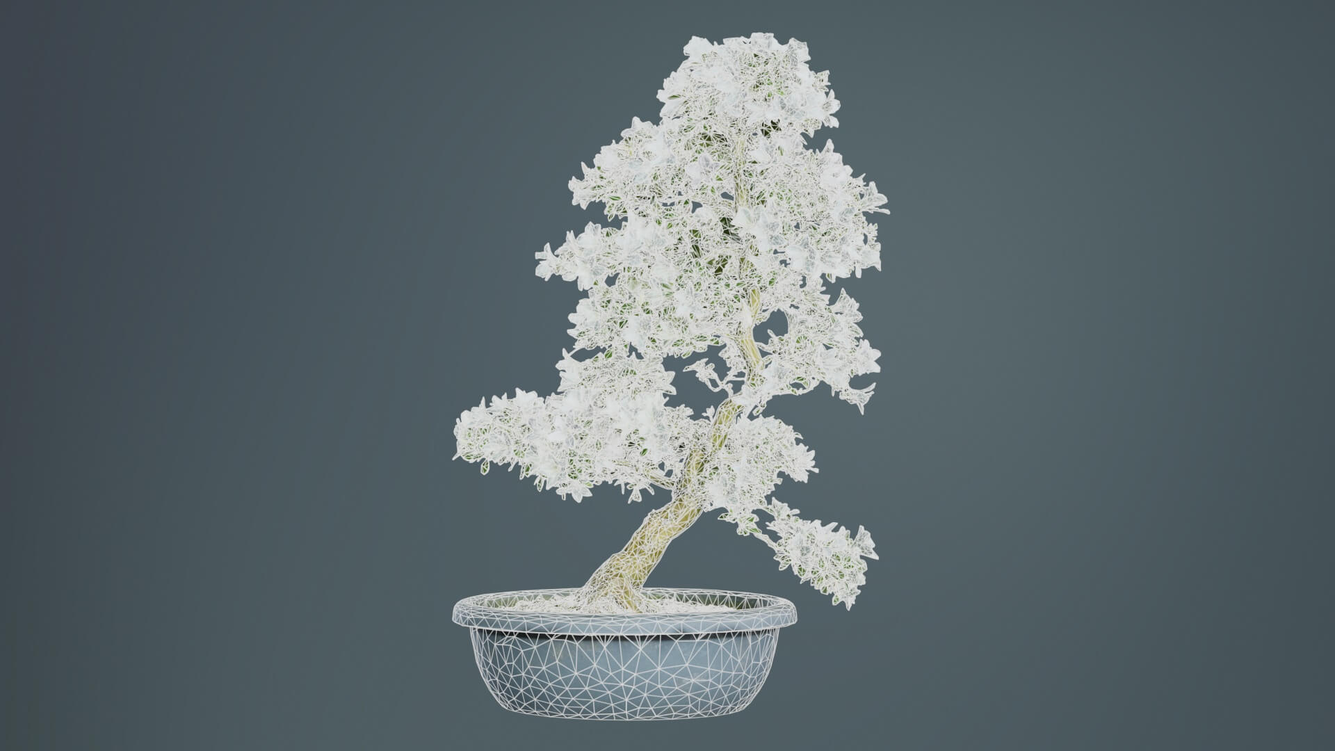 Satsuki Azalea Shakan Rhododendron Indicum Bonsai Tree - 3D Model by ...
