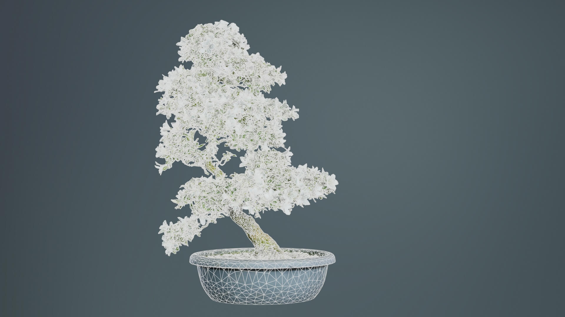 Satsuki Azalea Shakan Rhododendron Indicum Bonsai Tree - 3D Model by ...