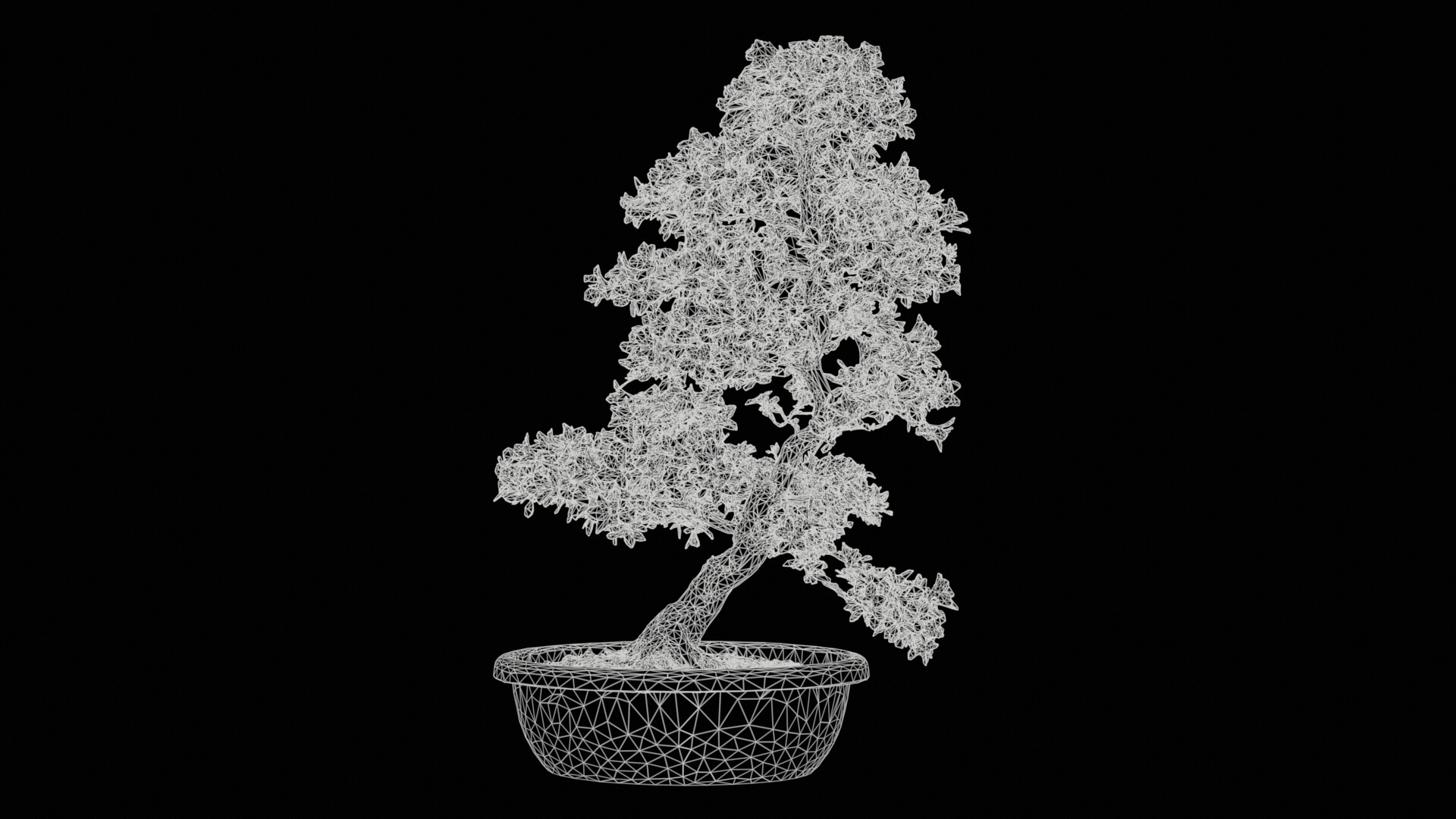 Satsuki Azalea Shakan Rhododendron Indicum Bonsai Tree - 3D Model by ...