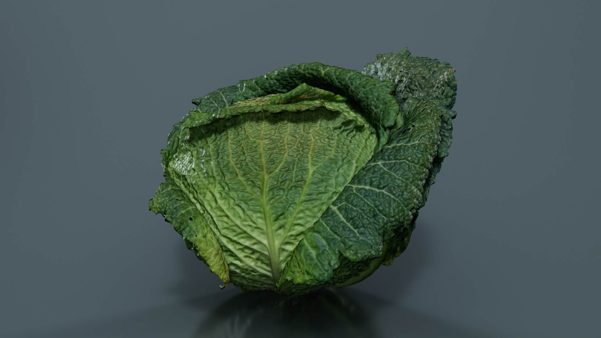 Savoye Cabbage - 3D Model by Polygonal Miniatures