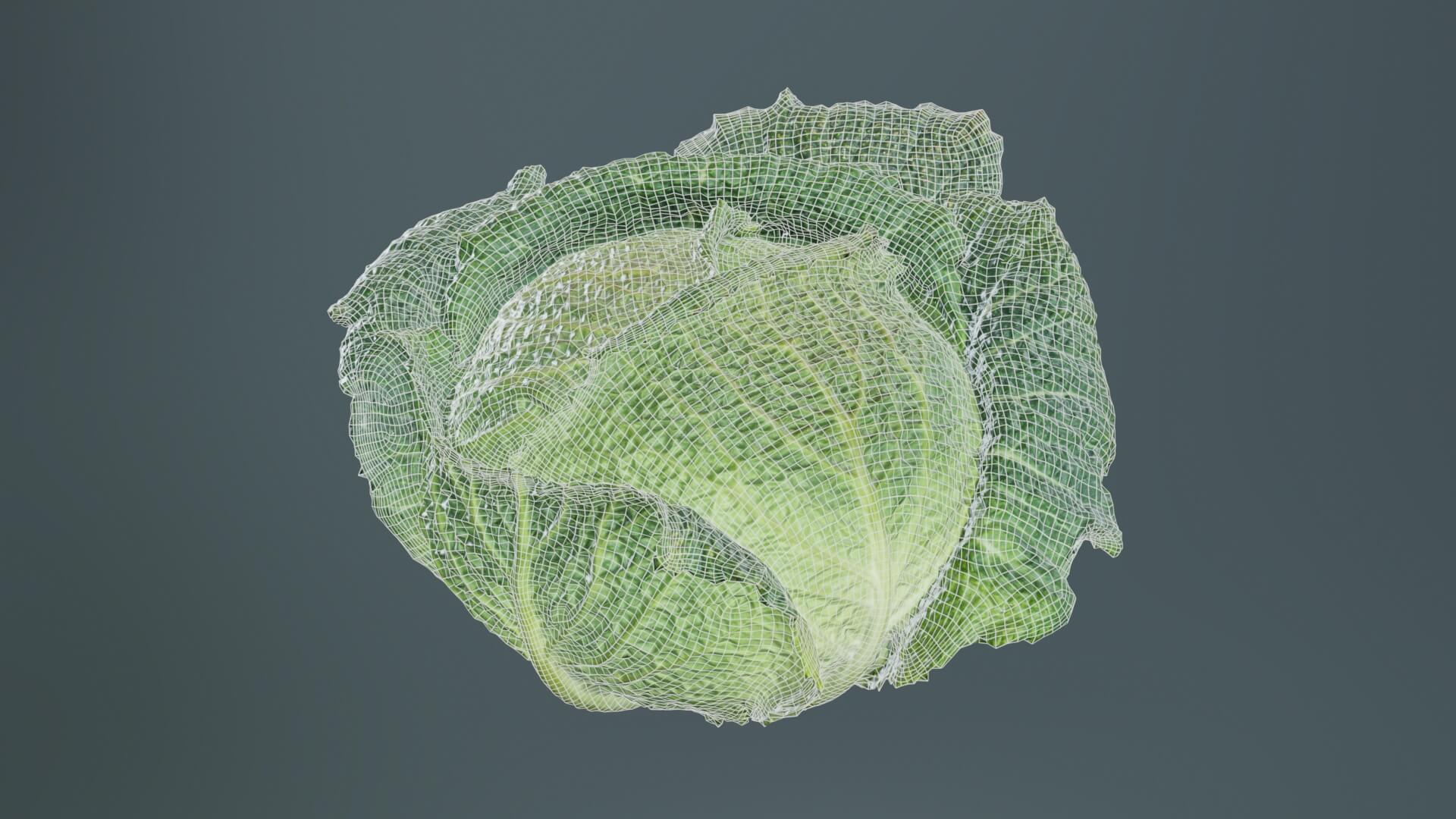 Savoye Cabbage - 3D Model by Polygonal Miniatures