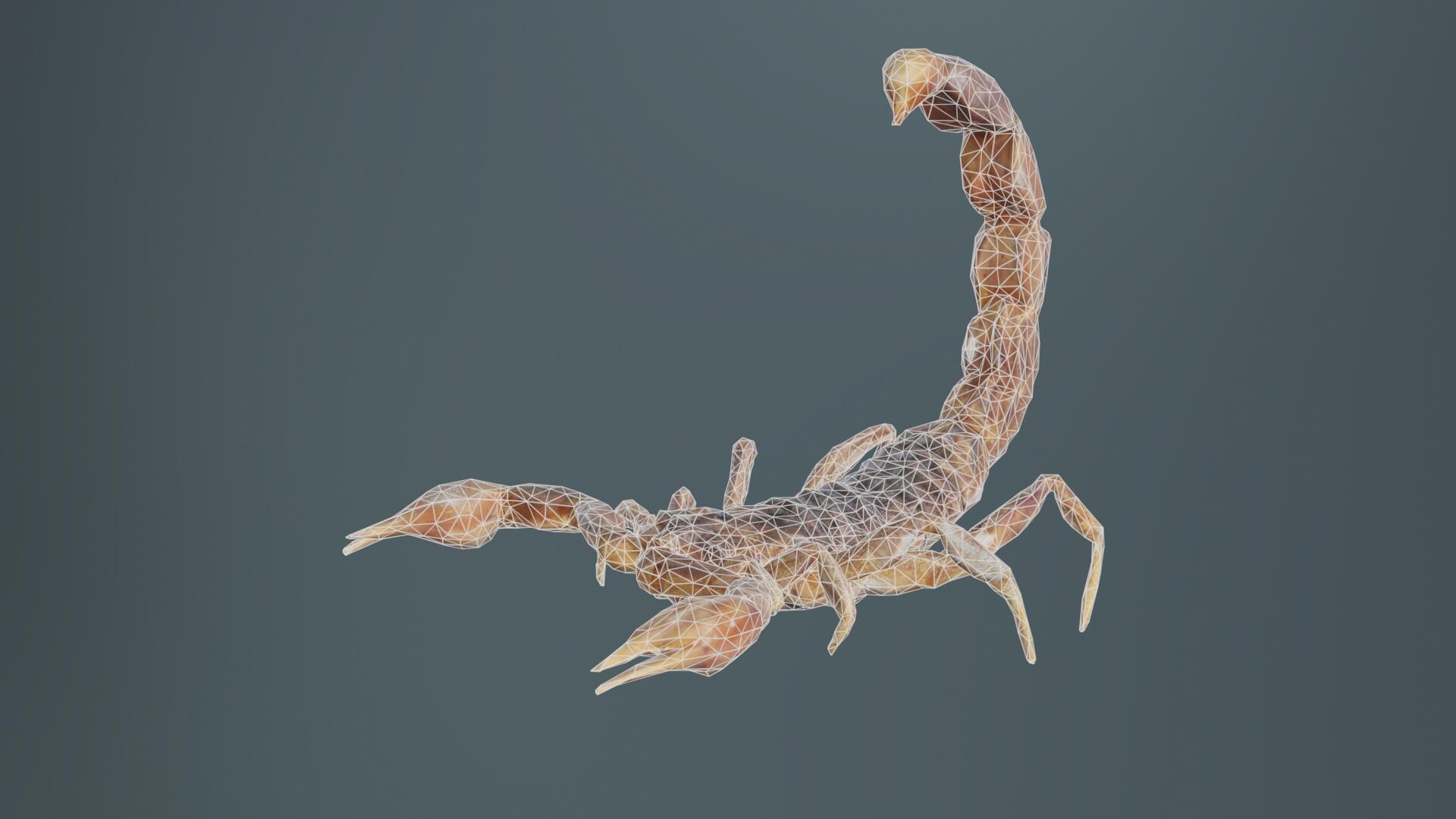 Scorpio Maurus Palmatus Scorpion - 3D Model by Polygonal Miniatures