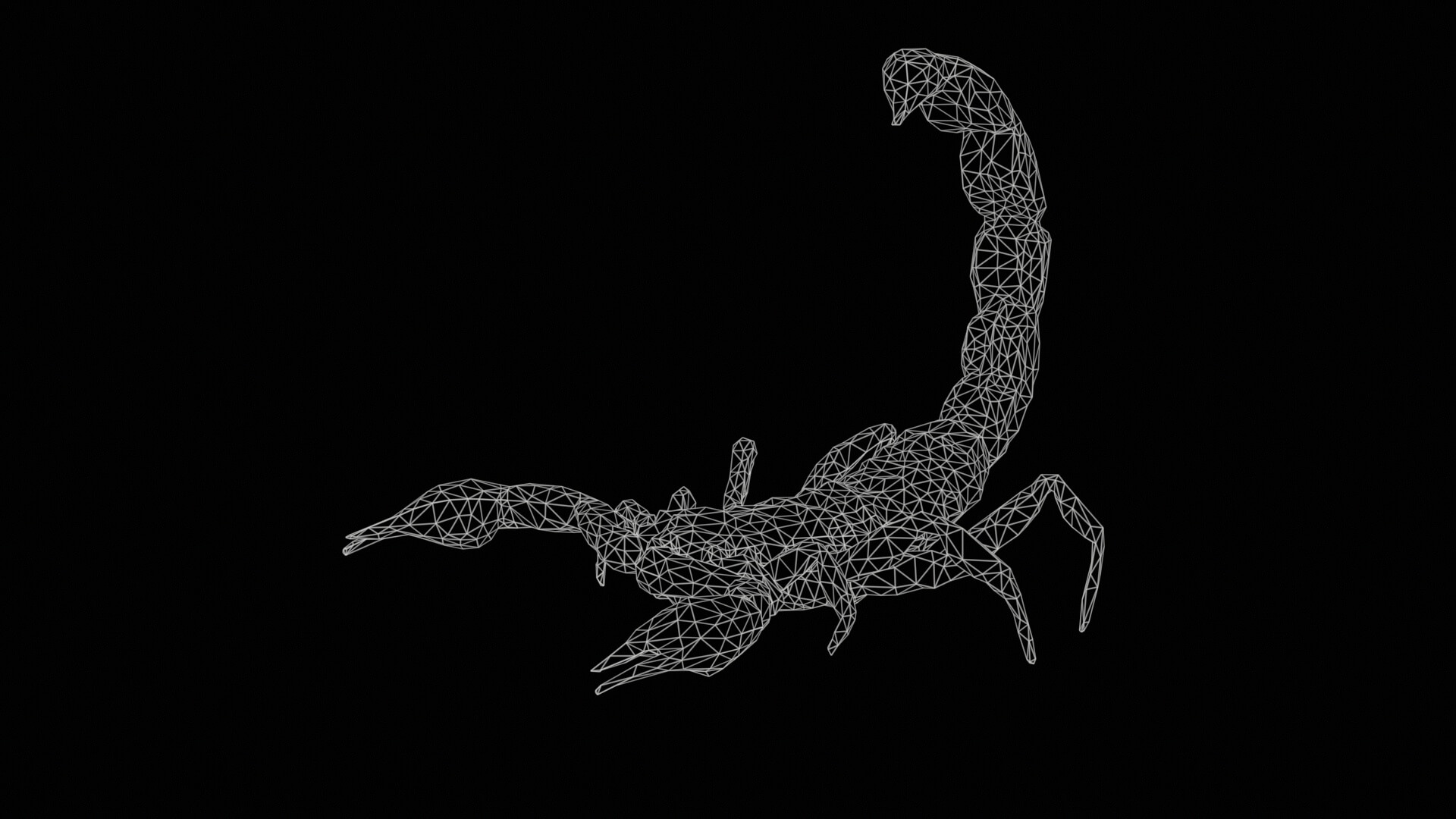 Scorpio Maurus Palmatus Scorpion - 3D Model by Polygonal Miniatures