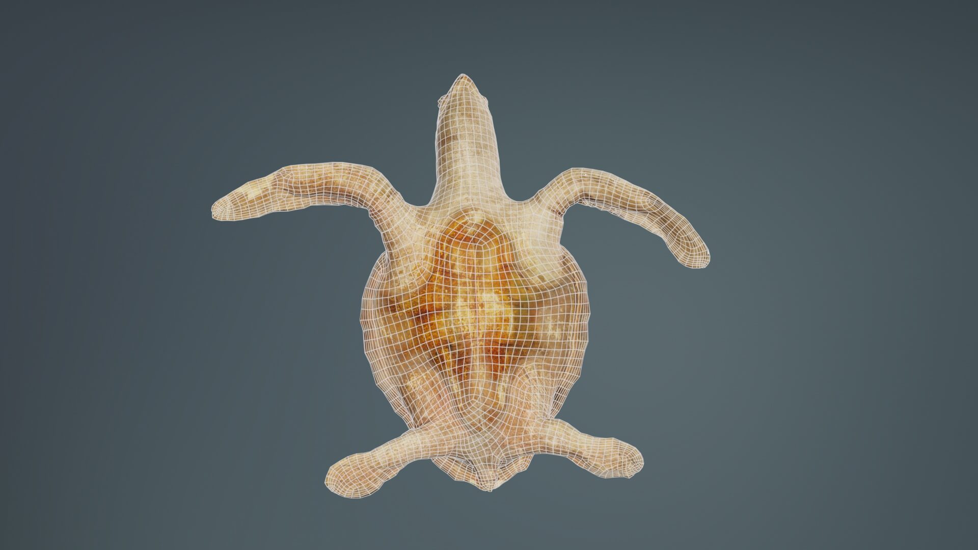 Large Sea Turtle - 3D Model by Polygonal Miniatures
