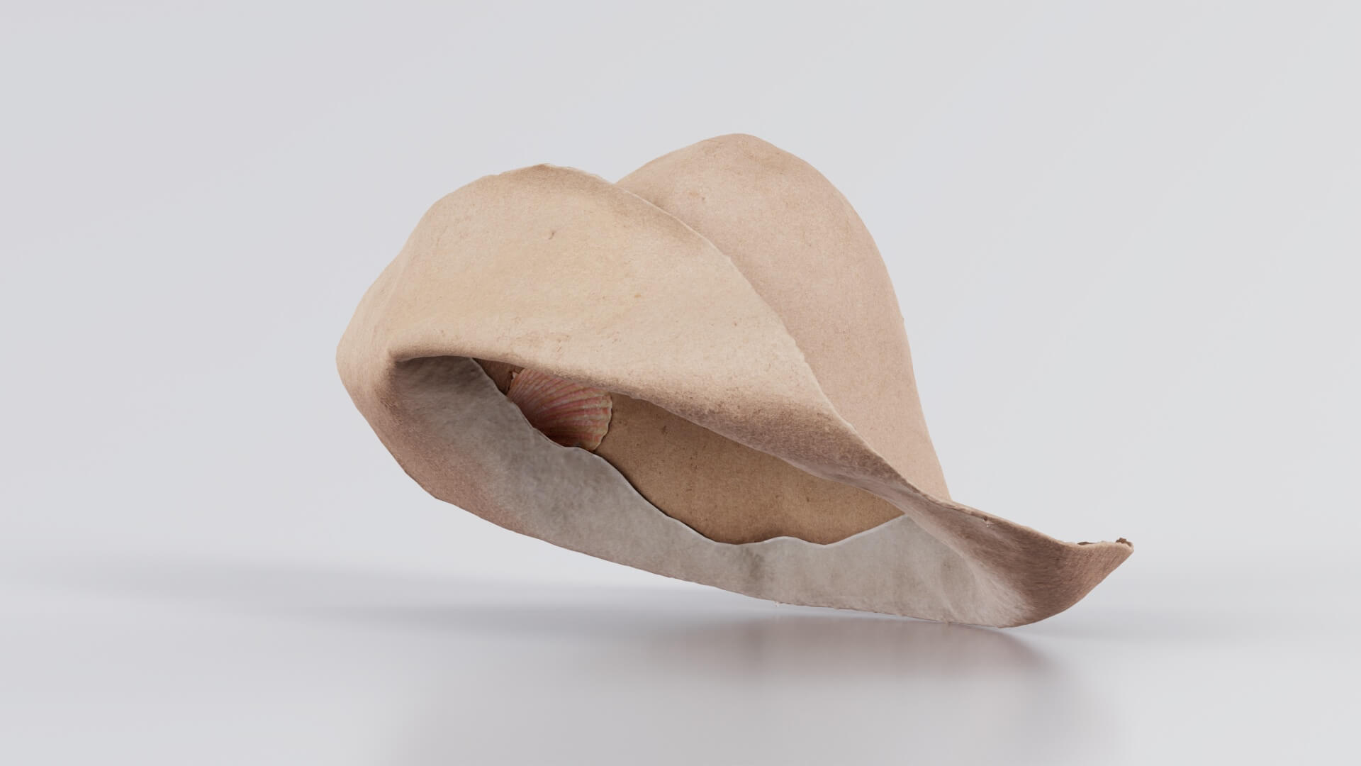 Shell Hat - 3D Model by Polygonal Miniatures