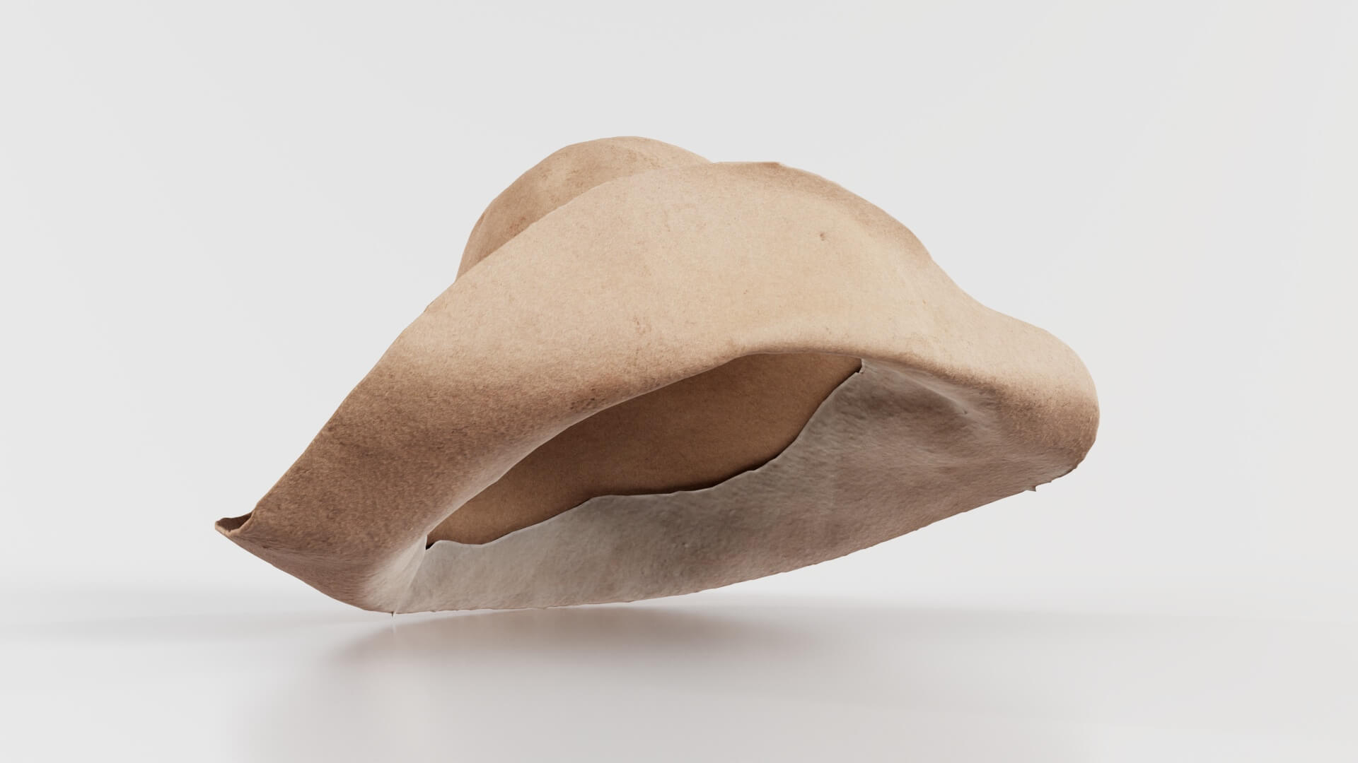 Shell Hat - 3D Model by Polygonal Miniatures