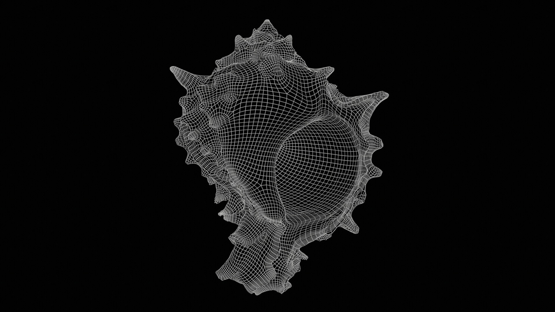 Shell Pink - 3D Model by Polygonal Miniatures