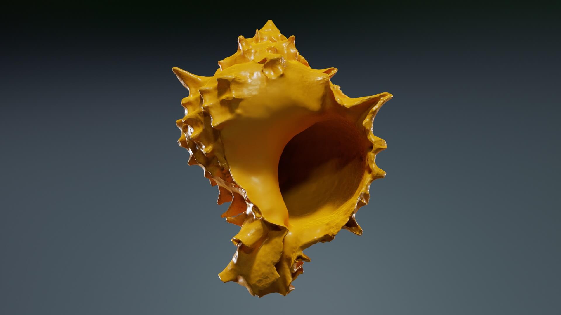 Shell Pink - 3D Model by Polygonal Miniatures