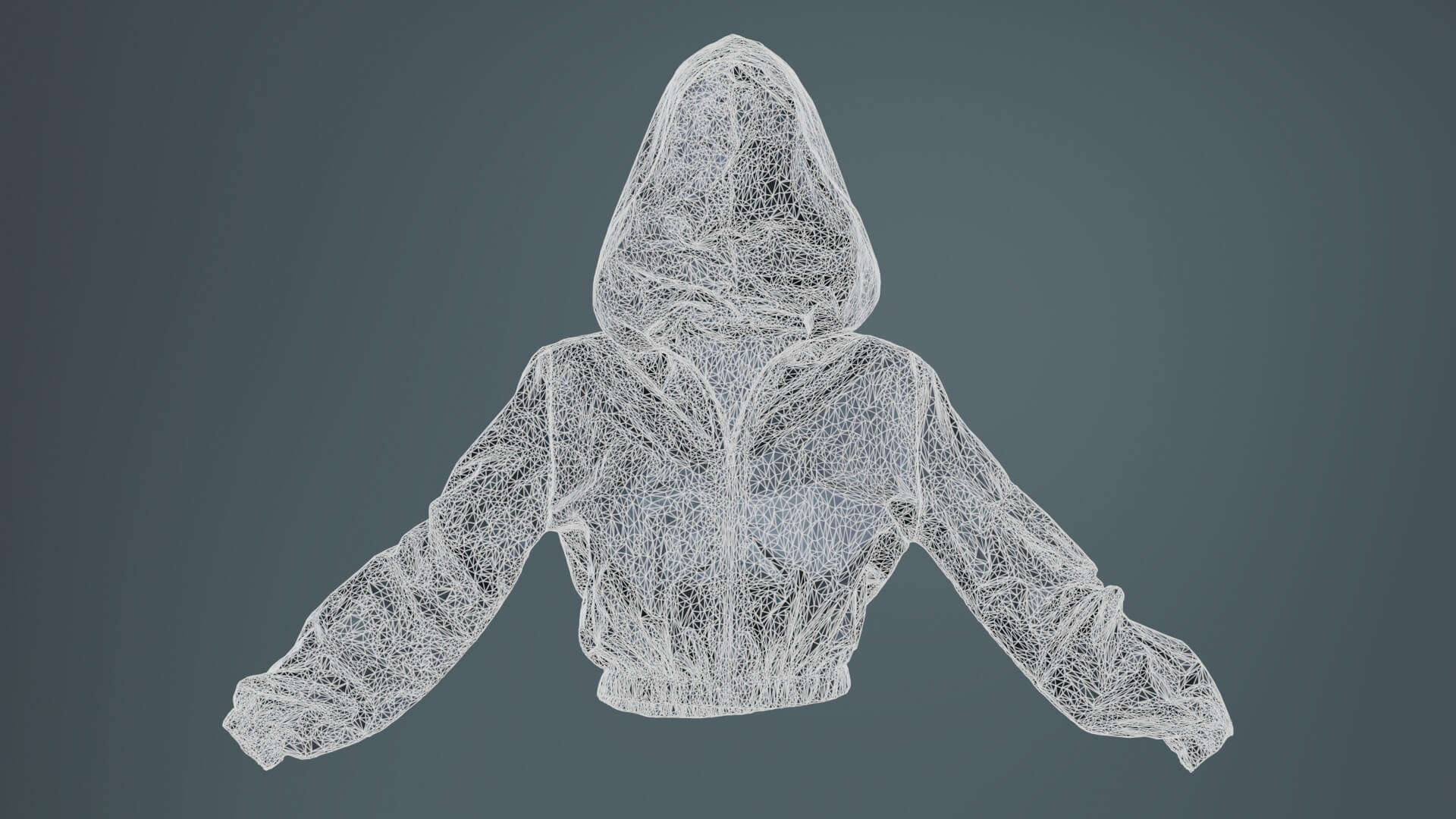 Shiny Hoodie Jacket - 3D Model by Polygonal Miniatures