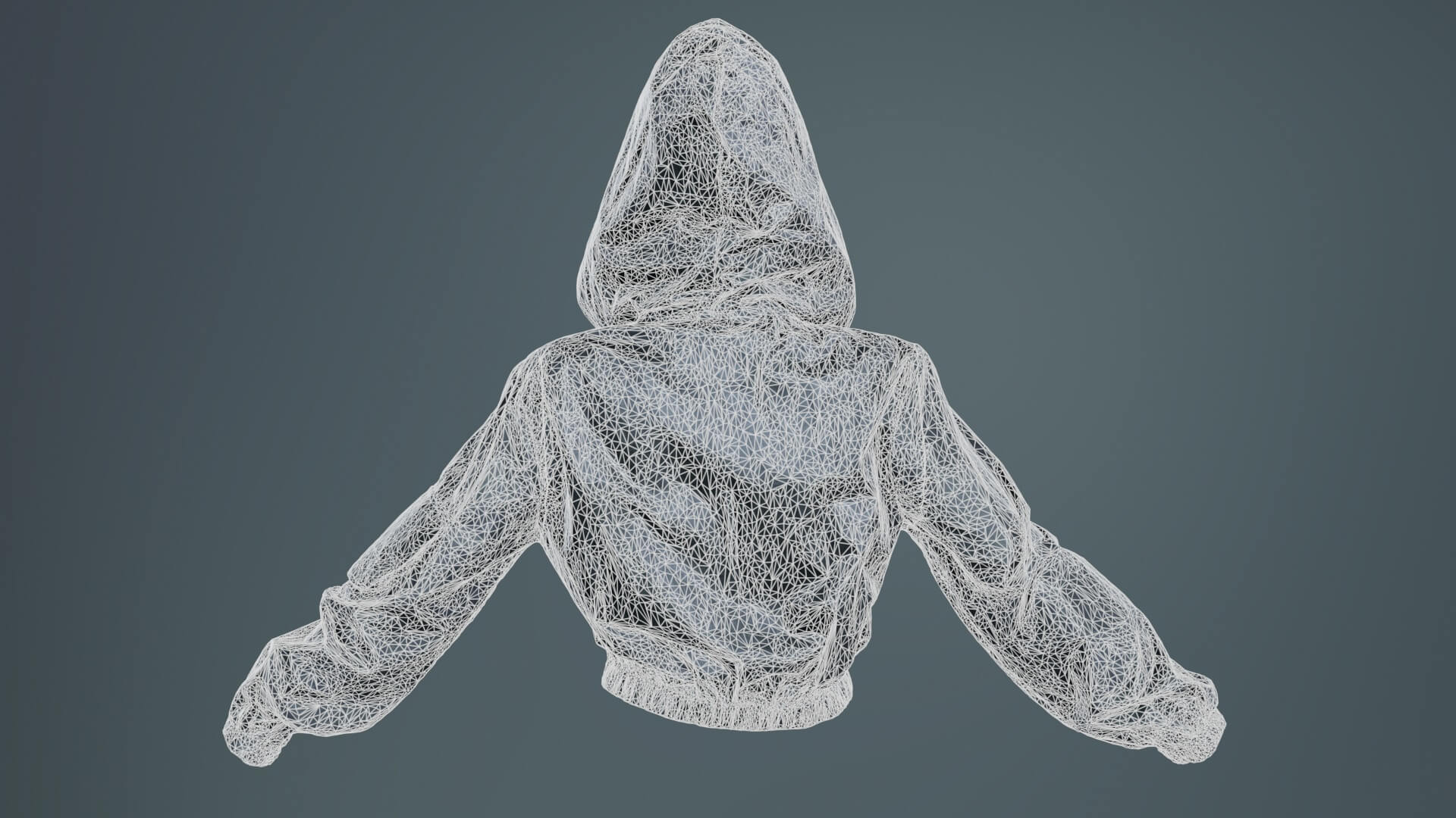 Shiny Hoodie Jacket - 3D Model by Polygonal Miniatures