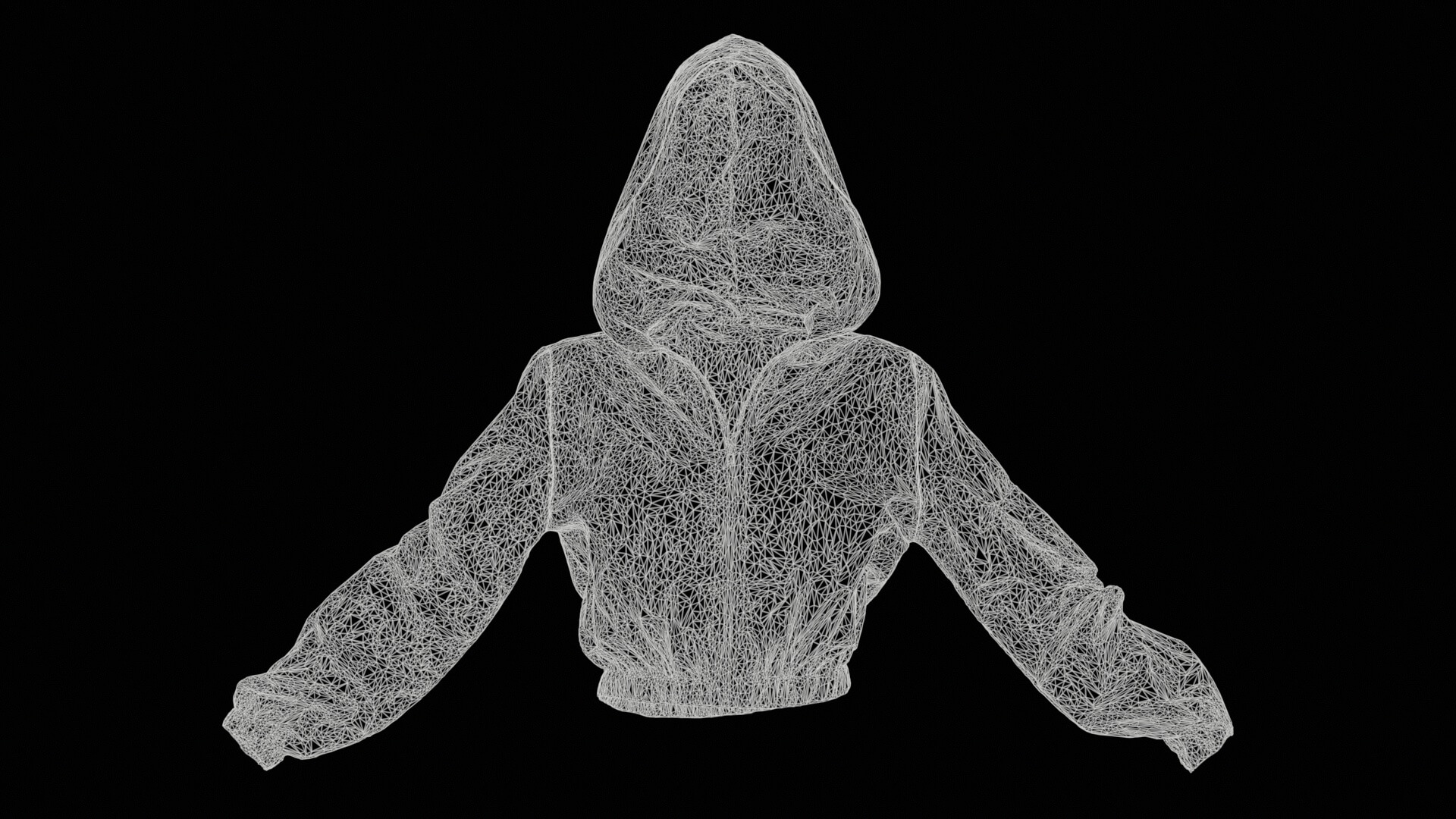 Shiny Hoodie Jacket - 3D Model by Polygonal Miniatures