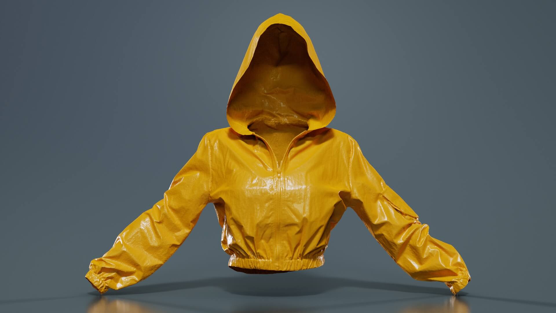 Shiny Hoodie Jacket - 3D Model by Polygonal Miniatures