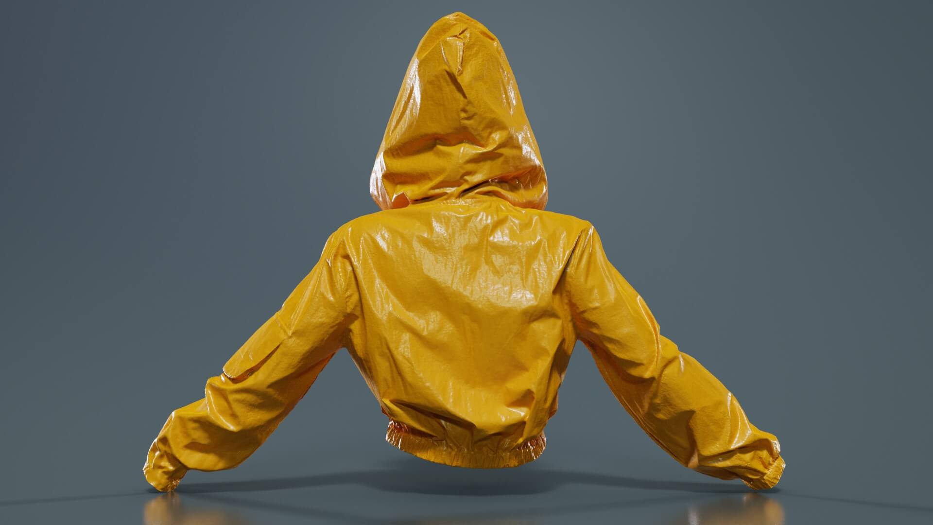 Shiny Hoodie Jacket - 3D Model by Polygonal Miniatures