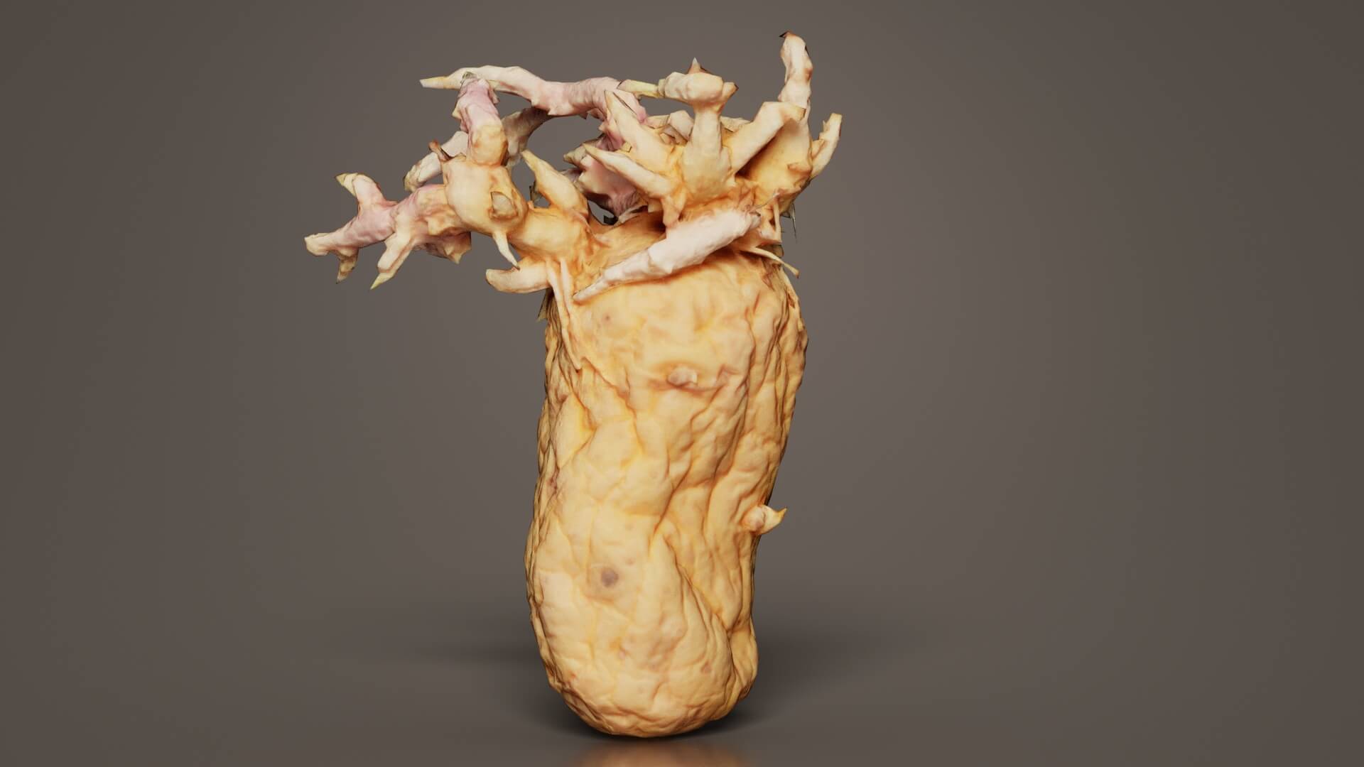 Shriveled Potato 1 - 3D Model by Polygonal Miniatures