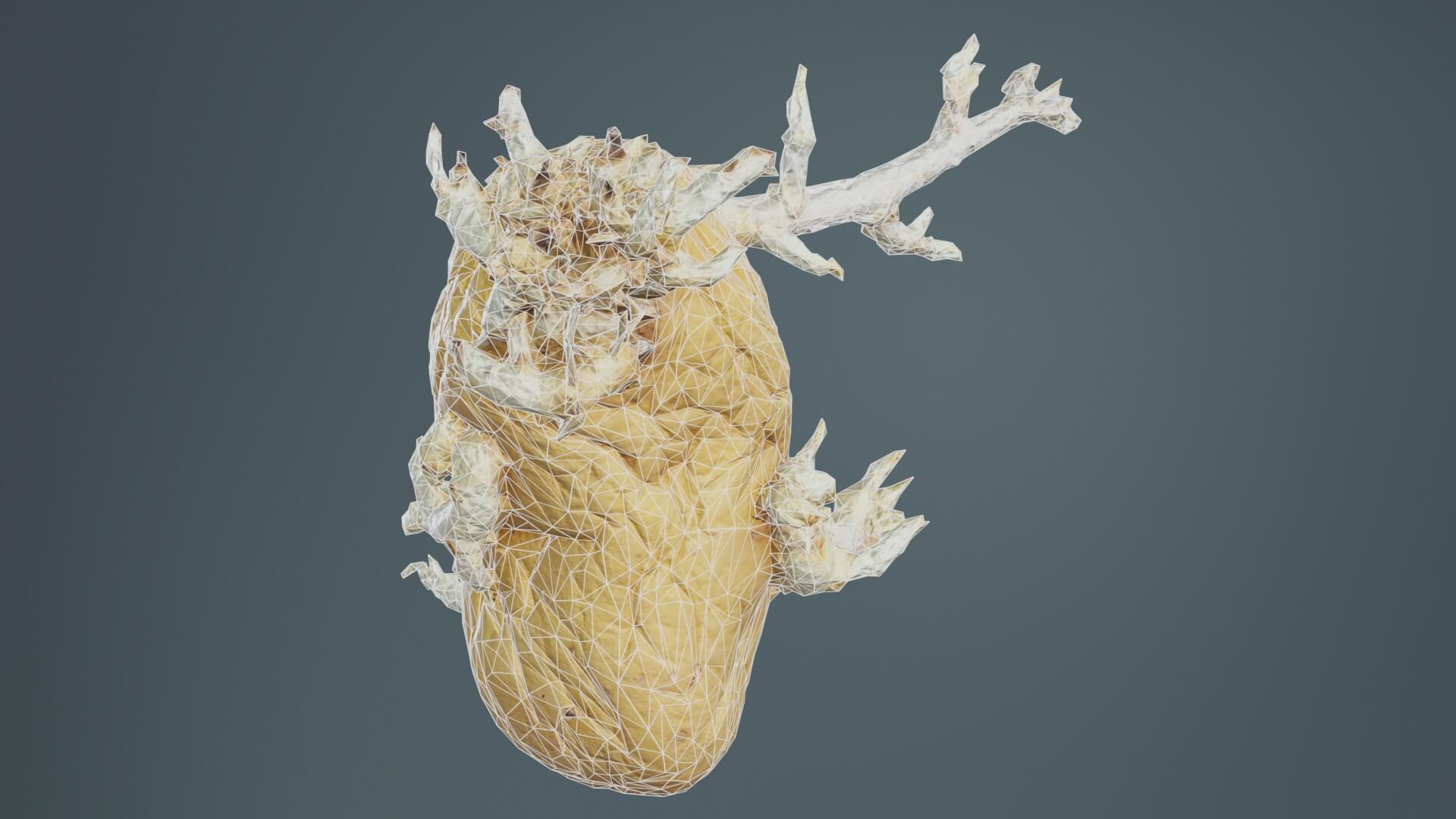 Shriveled Potato 5 - 3D Model by Polygonal Miniatures