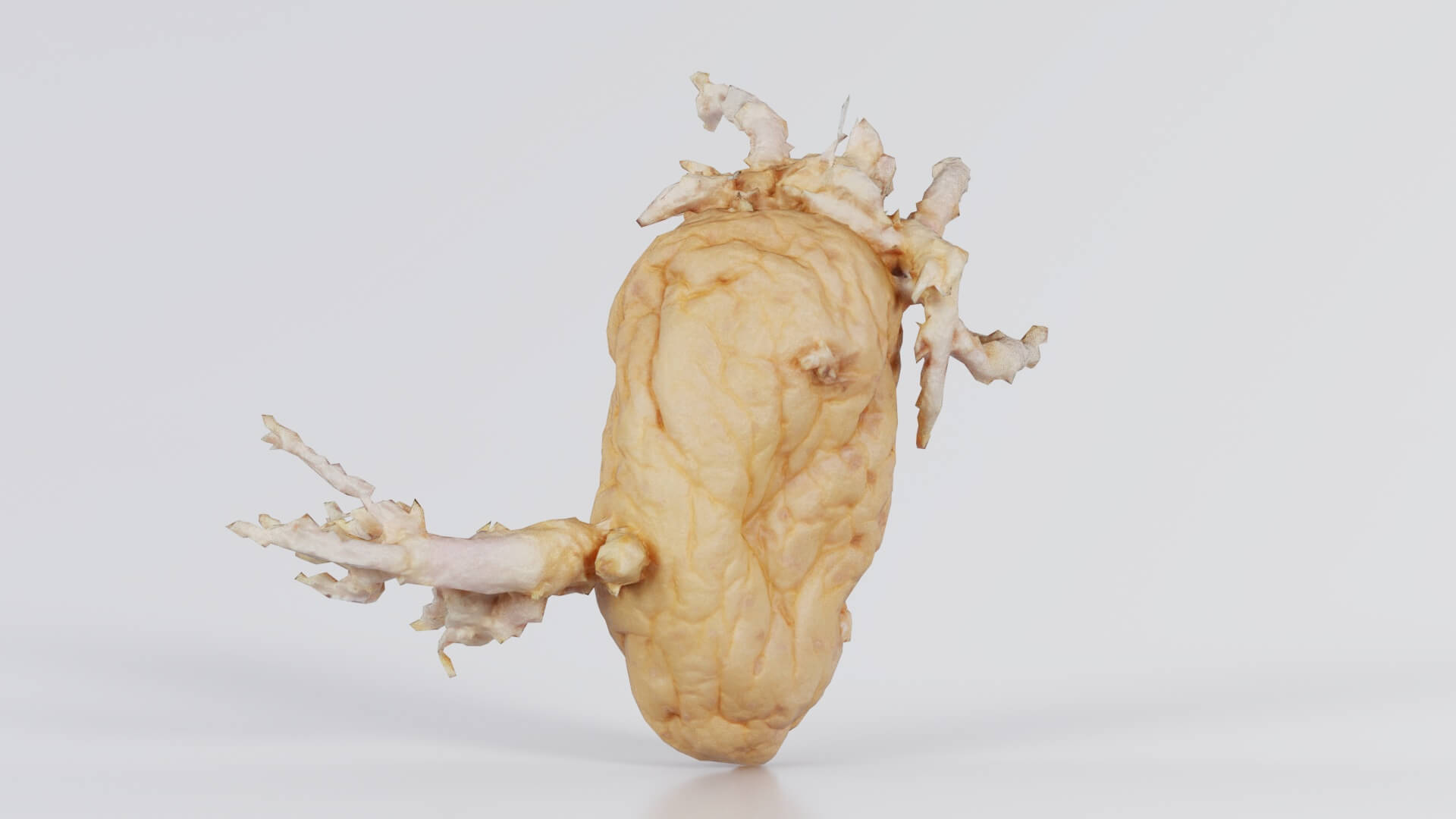 Shriveled Potato 7 - 3D Model by Polygonal Miniatures