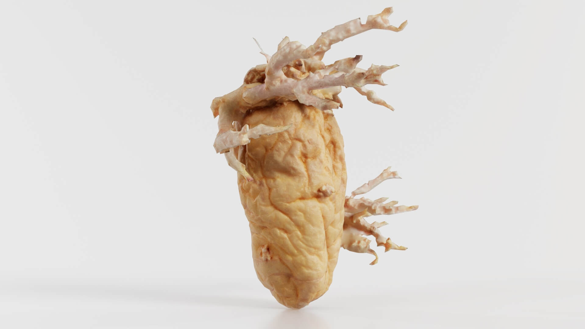 Shriveled Potato 7 - 3D Model by Polygonal Miniatures