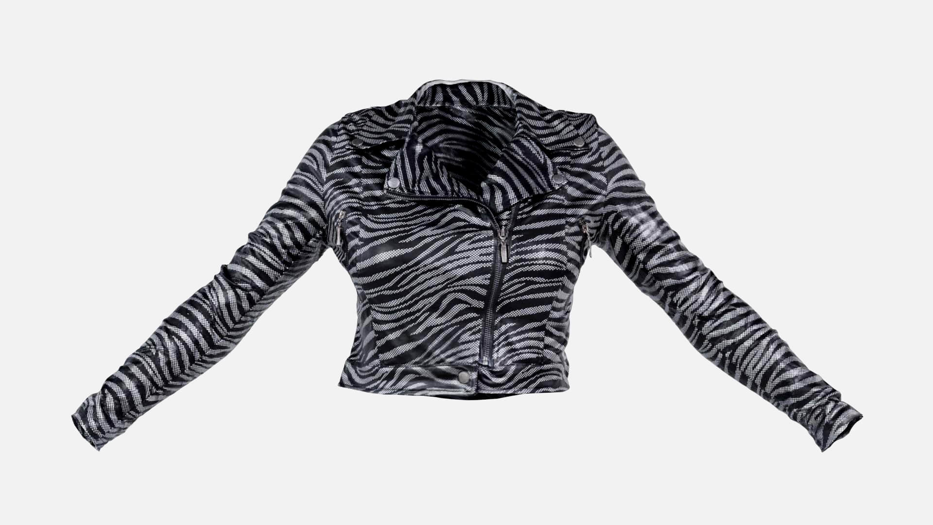 Silver Zebra Jacket - 3D Model by Polygonal Miniatures