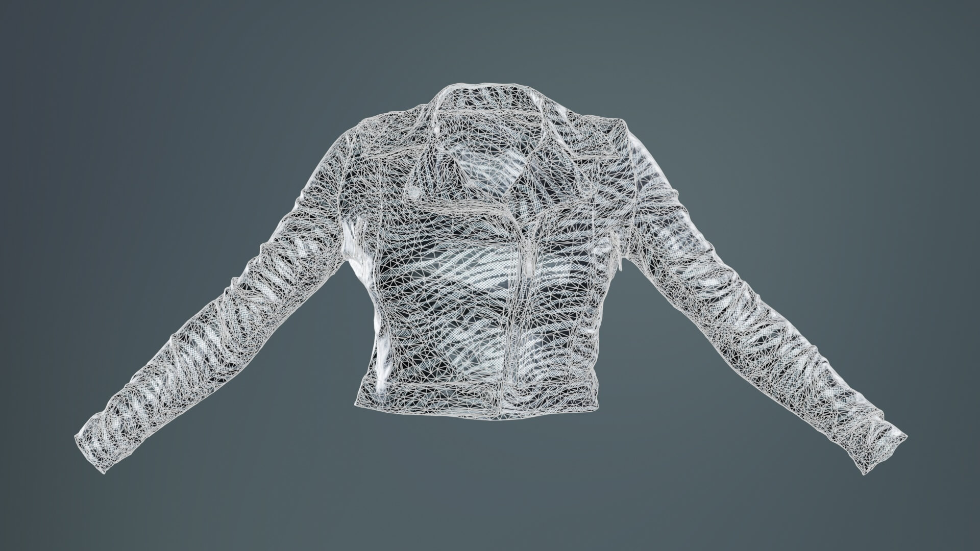 Silver Zebra Jacket - 3D Model by Polygonal Miniatures