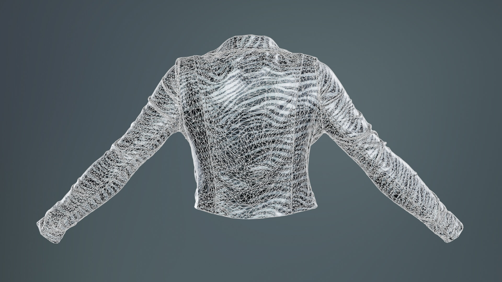 Silver Zebra Jacket - 3D Model by Polygonal Miniatures