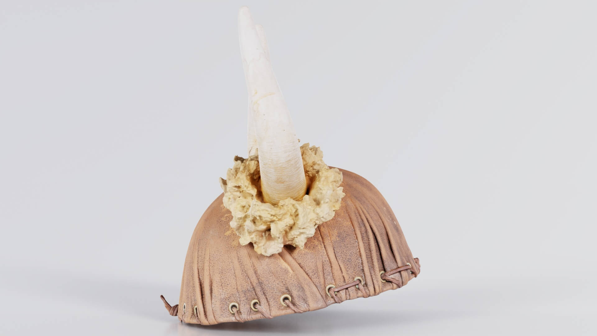 Skin Horn Hat - 3D Model by Polygonal Miniatures