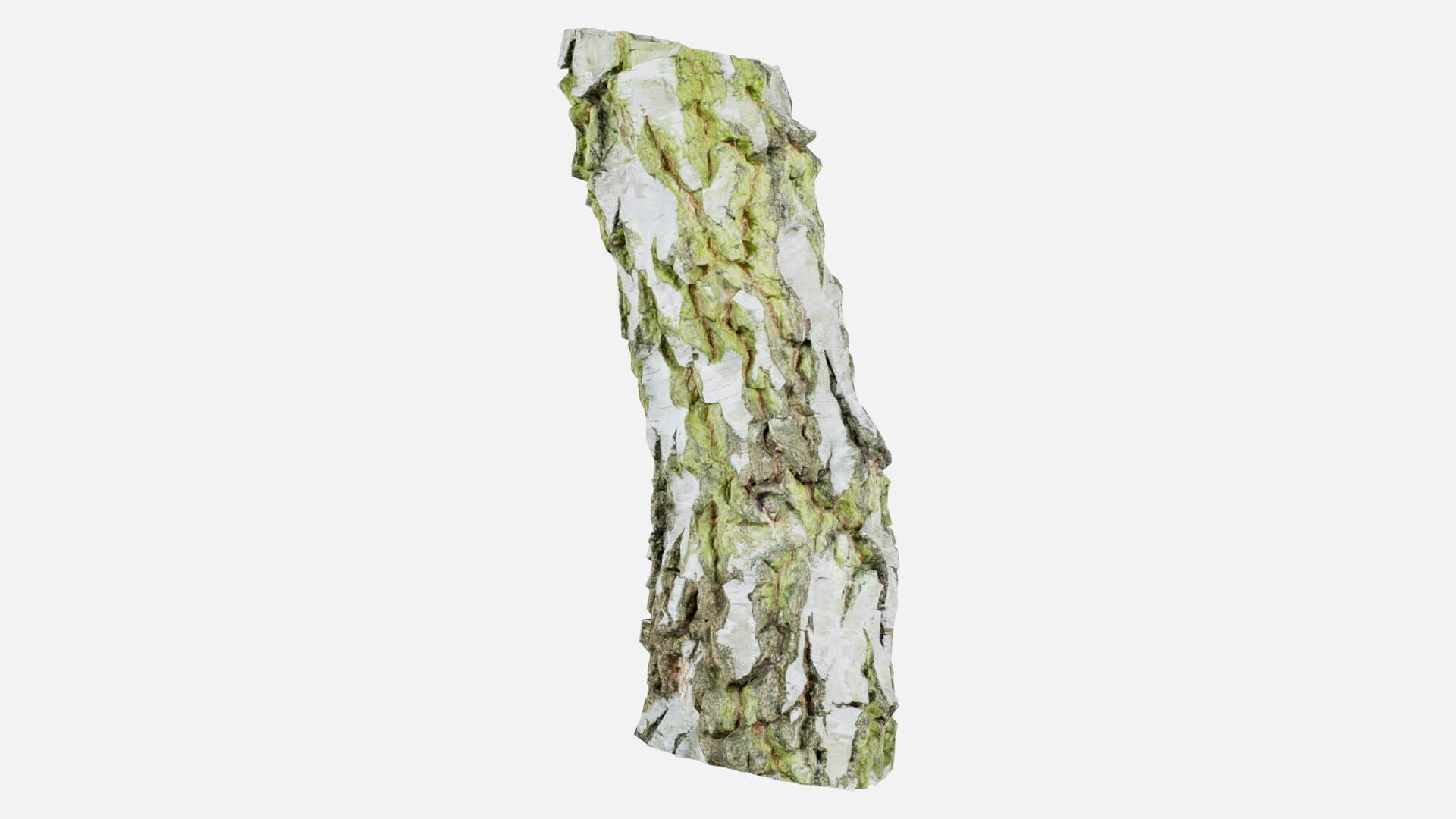Sliced Bark - 3D Model by Polygonal Miniatures