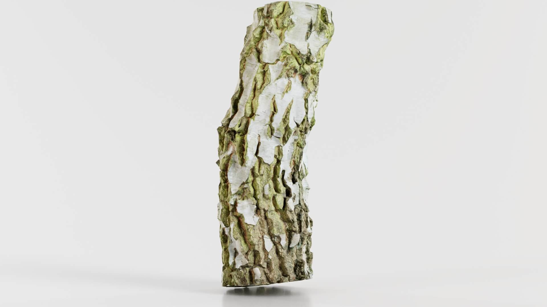 Sliced Bark - 3D Model by Polygonal Miniatures