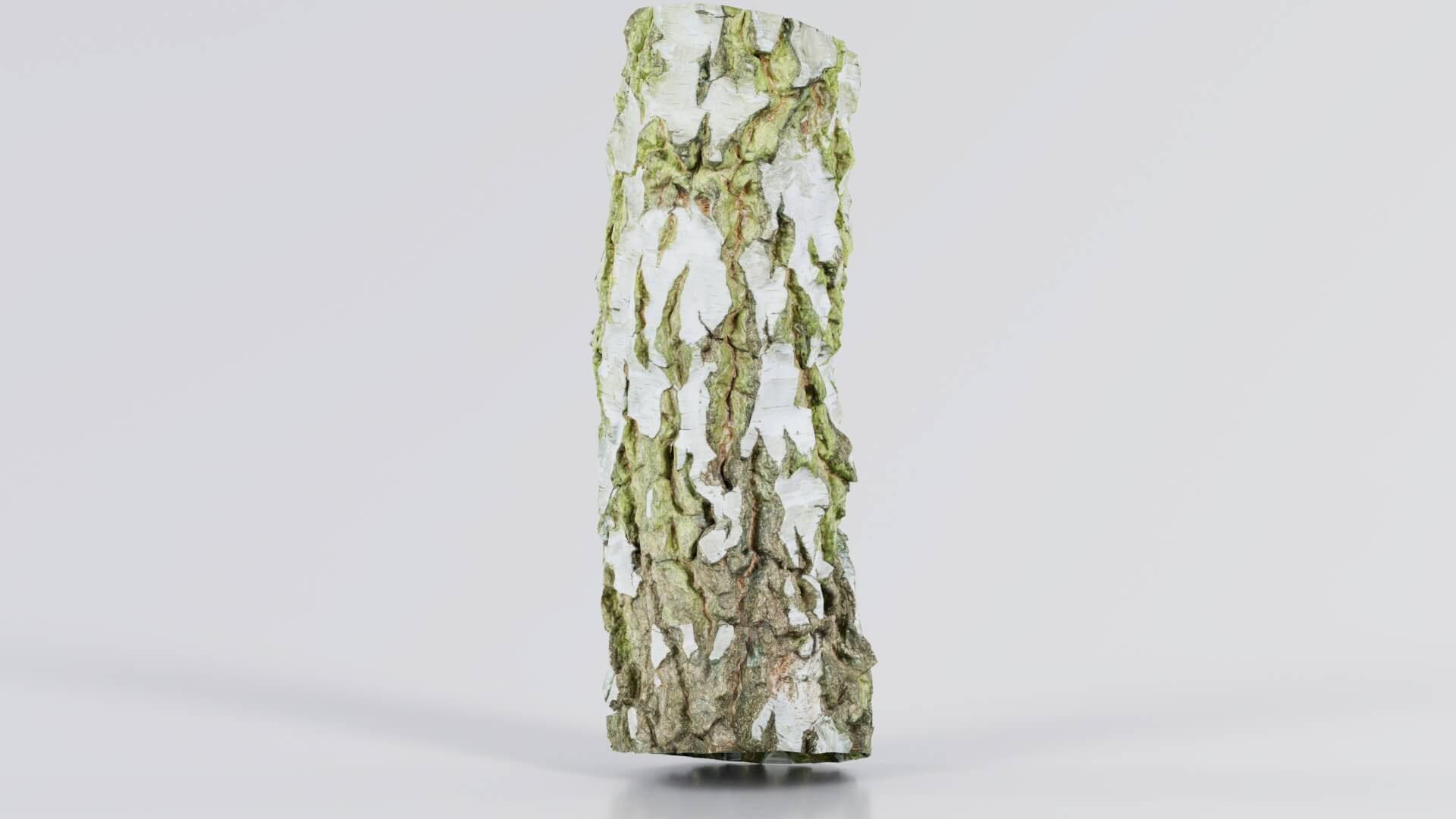 Sliced Bark - 3D Model by Polygonal Miniatures