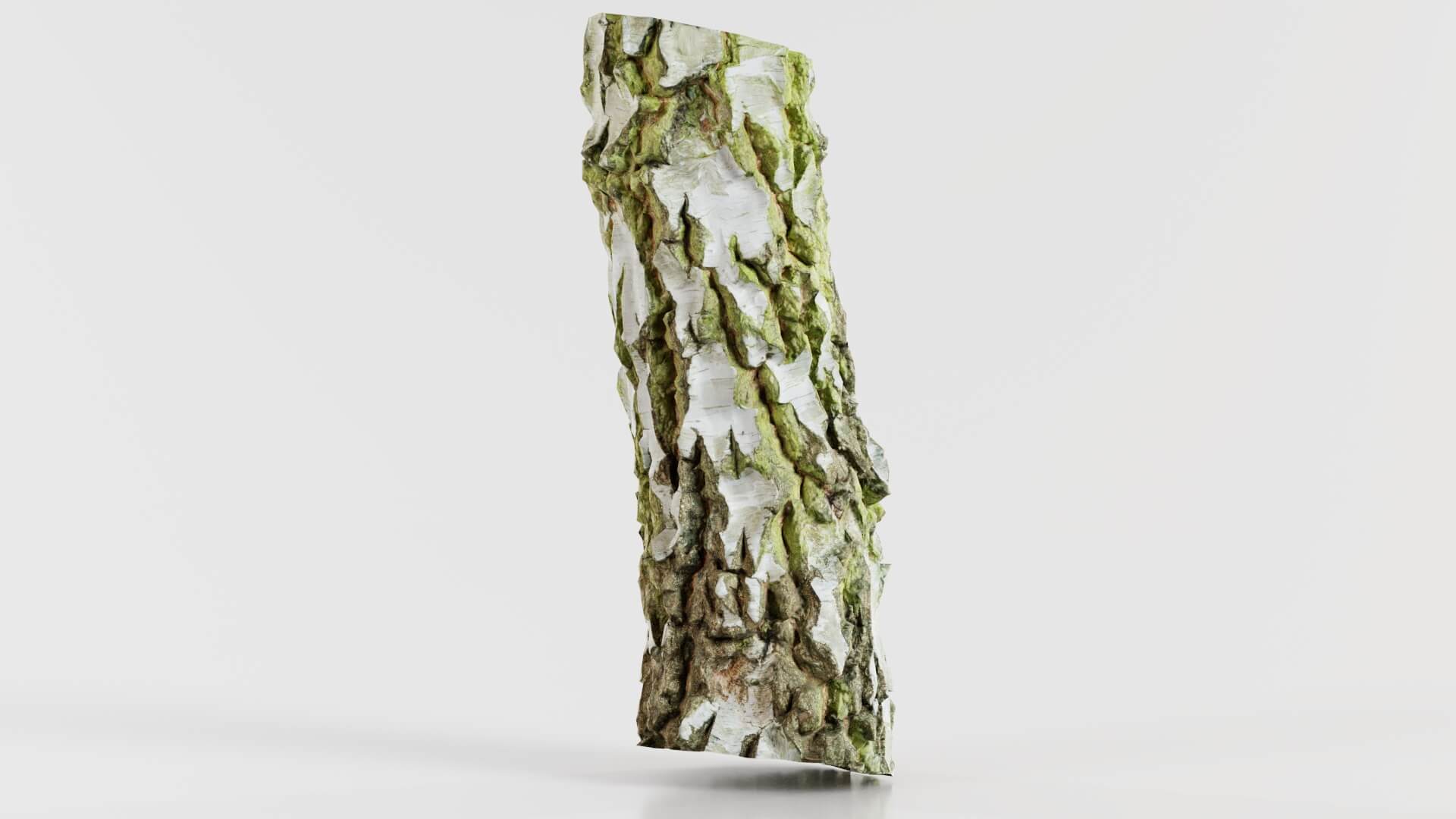 Sliced Bark - 3D Model by Polygonal Miniatures